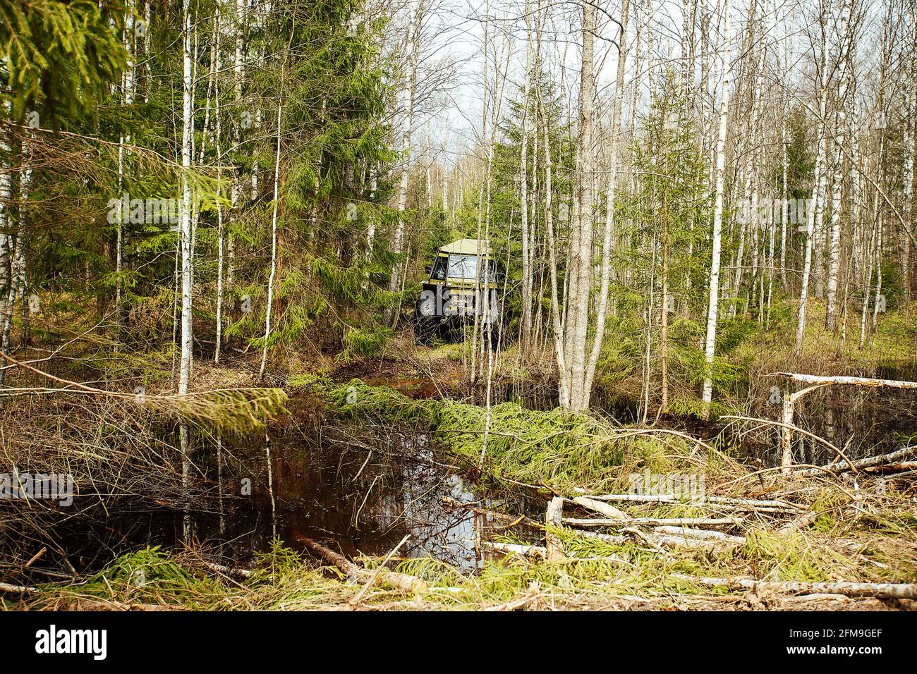 a four-wheel drive all-terrain vehicle drives through the forest ...