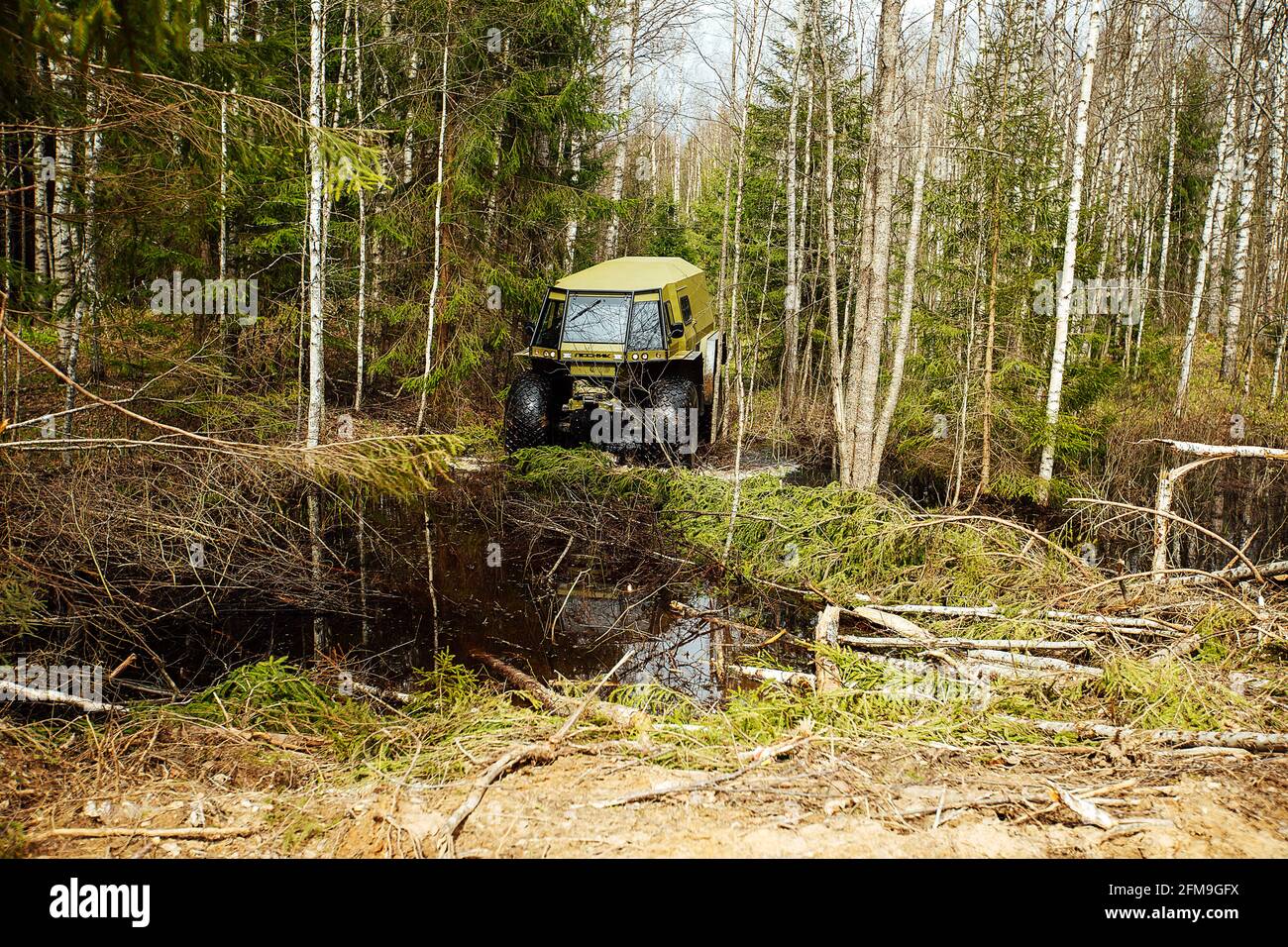 a four-wheel drive all-terrain vehicle drives through the forest ...