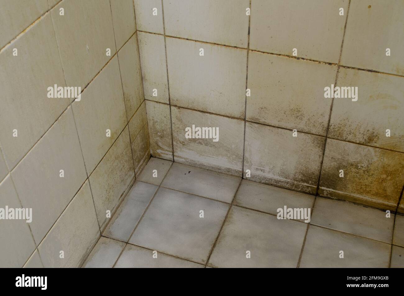 Selective focus shot of dirt on floors and walls of bathroom tiles ...
