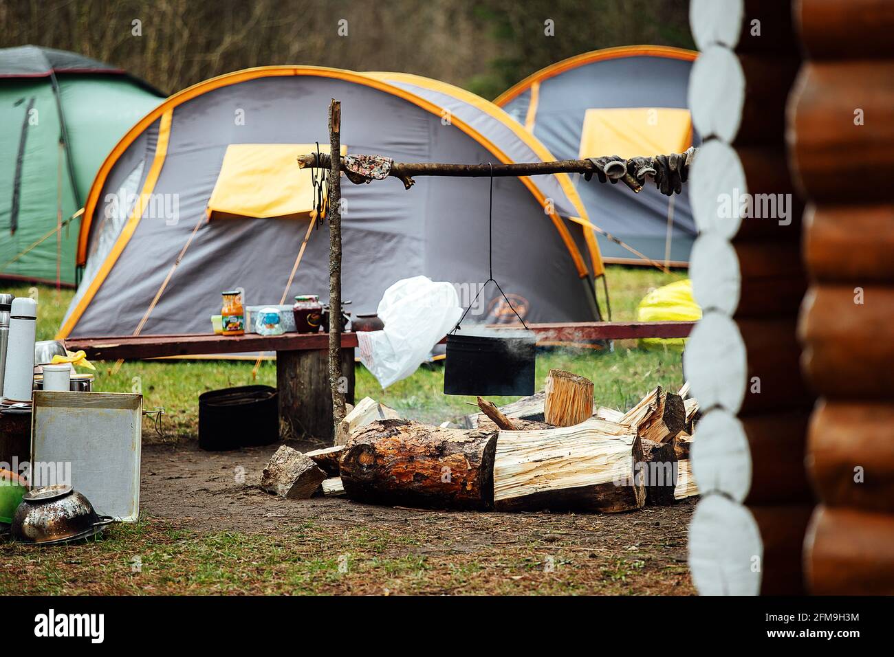 tourist tents in the forest. a group of travelers set up camp in nature ...