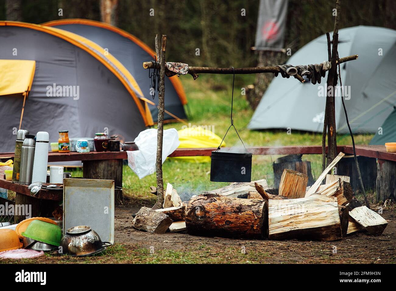 tourist tents in the forest. a group of travelers set up camp in nature ...