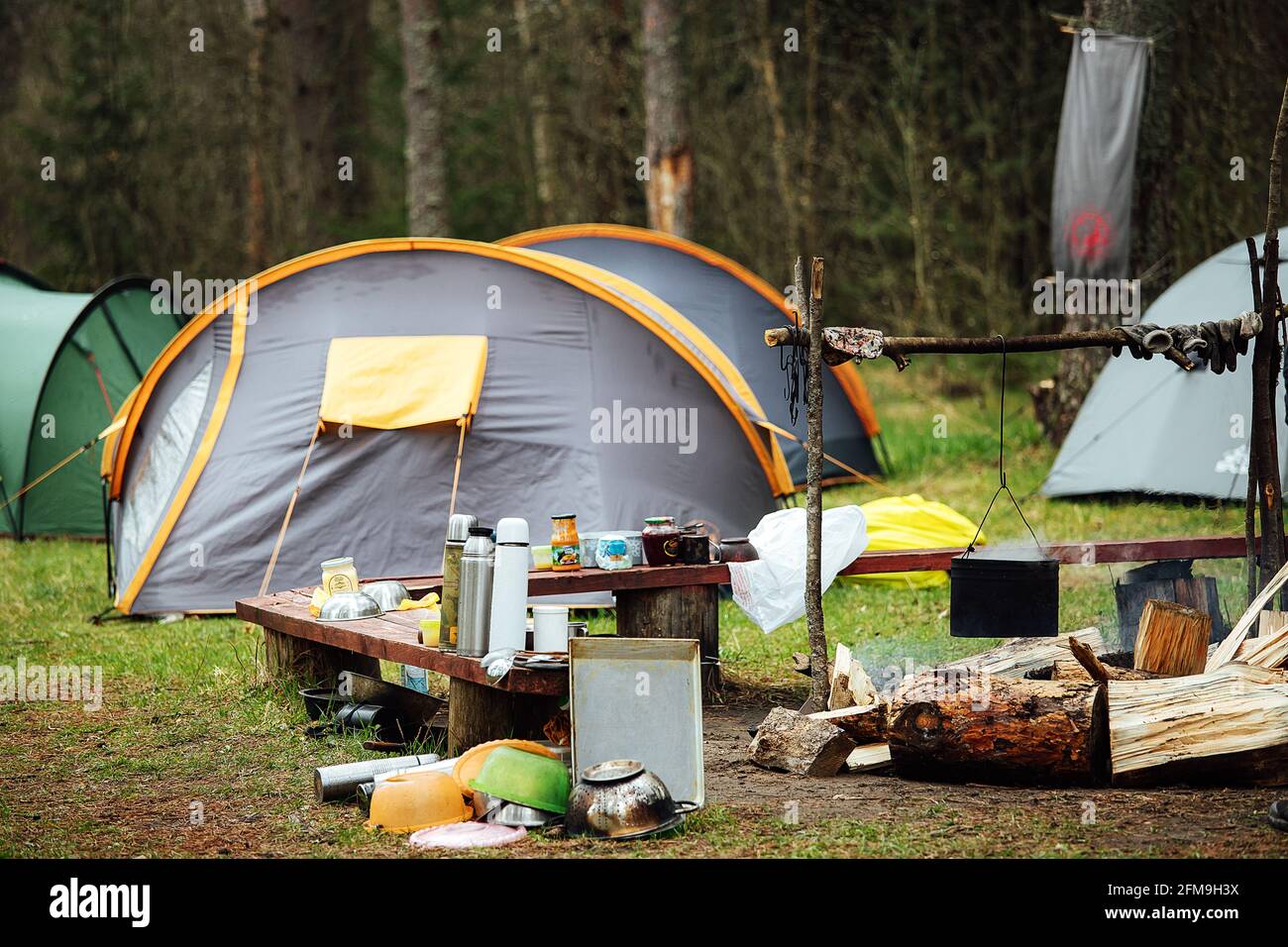 tourist tents in the forest. a group of travelers set up camp in nature ...