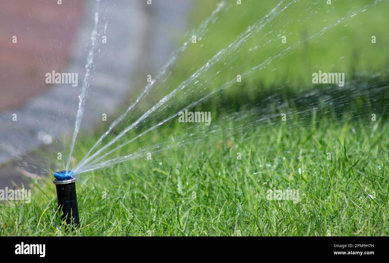 Automatic lawn watering system. Automatic watering sprinkler Stock ...