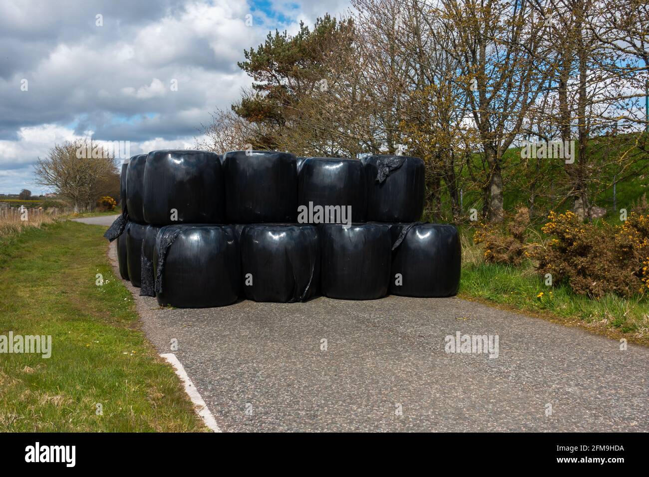Wrapped bale hi-res stock photography and images - Alamy