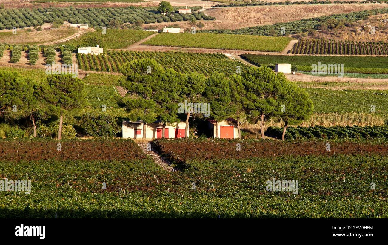 Planeta winery hi-res stock photography and images - Alamy