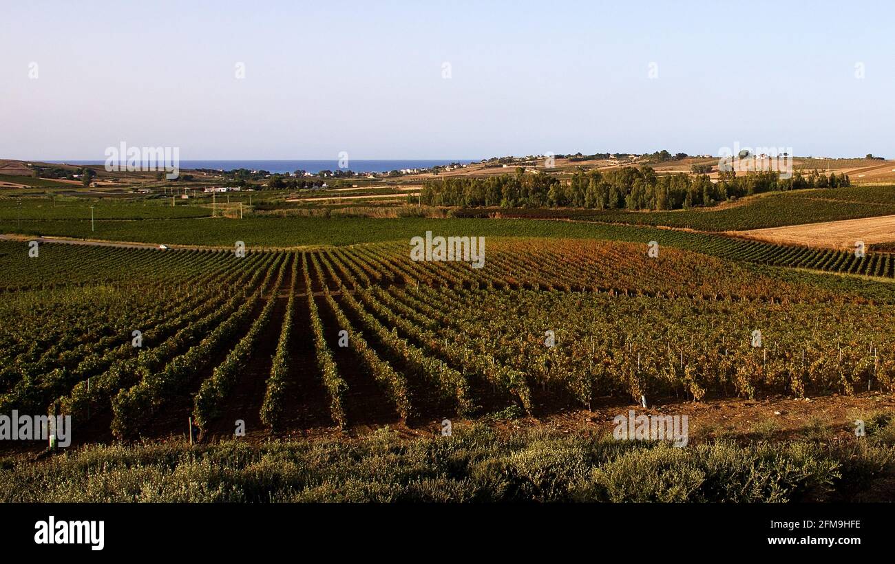 Planeta wine hi-res stock photography and images - Alamy