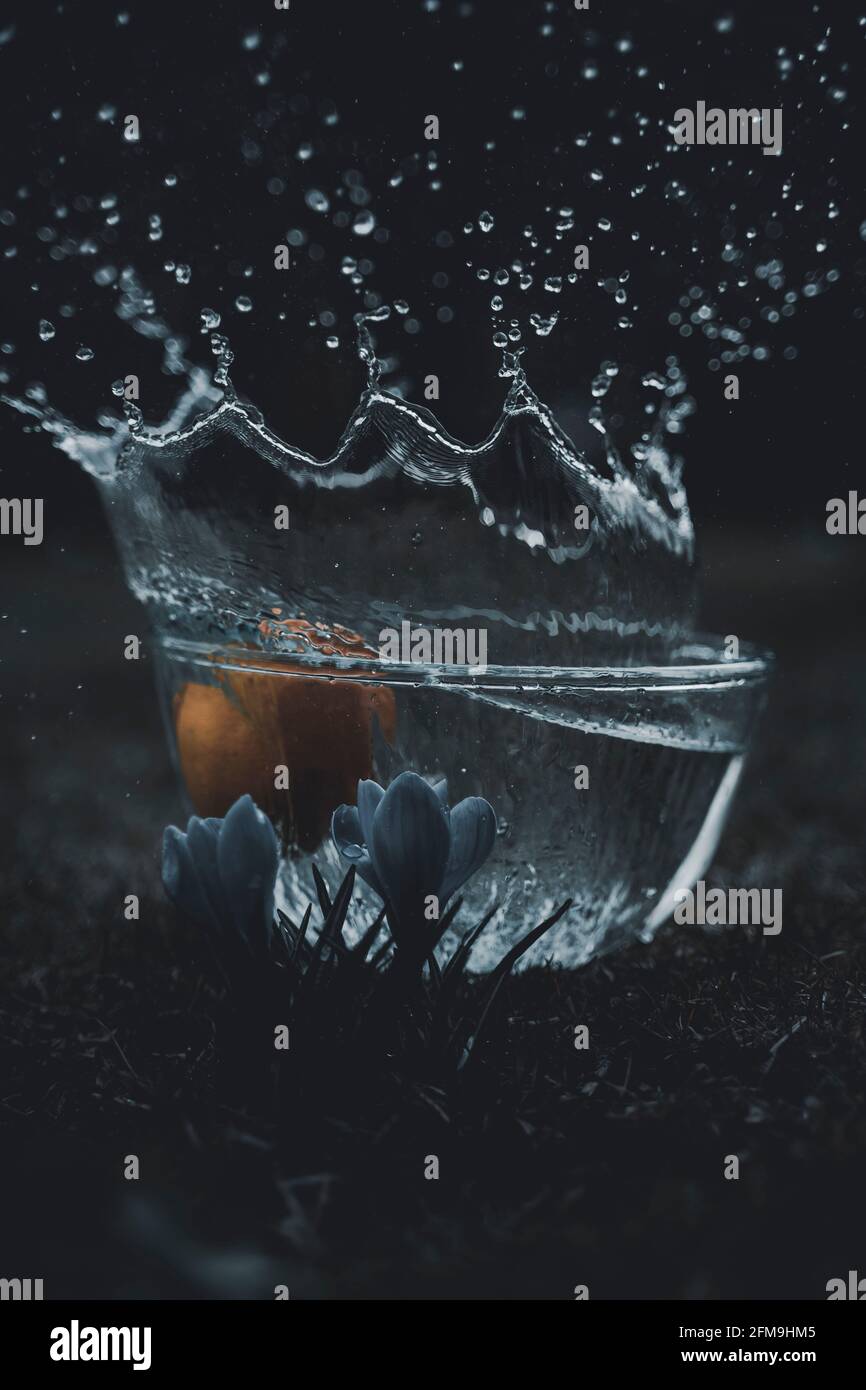 Falling fruit hi-res stock photography and images - Alamy