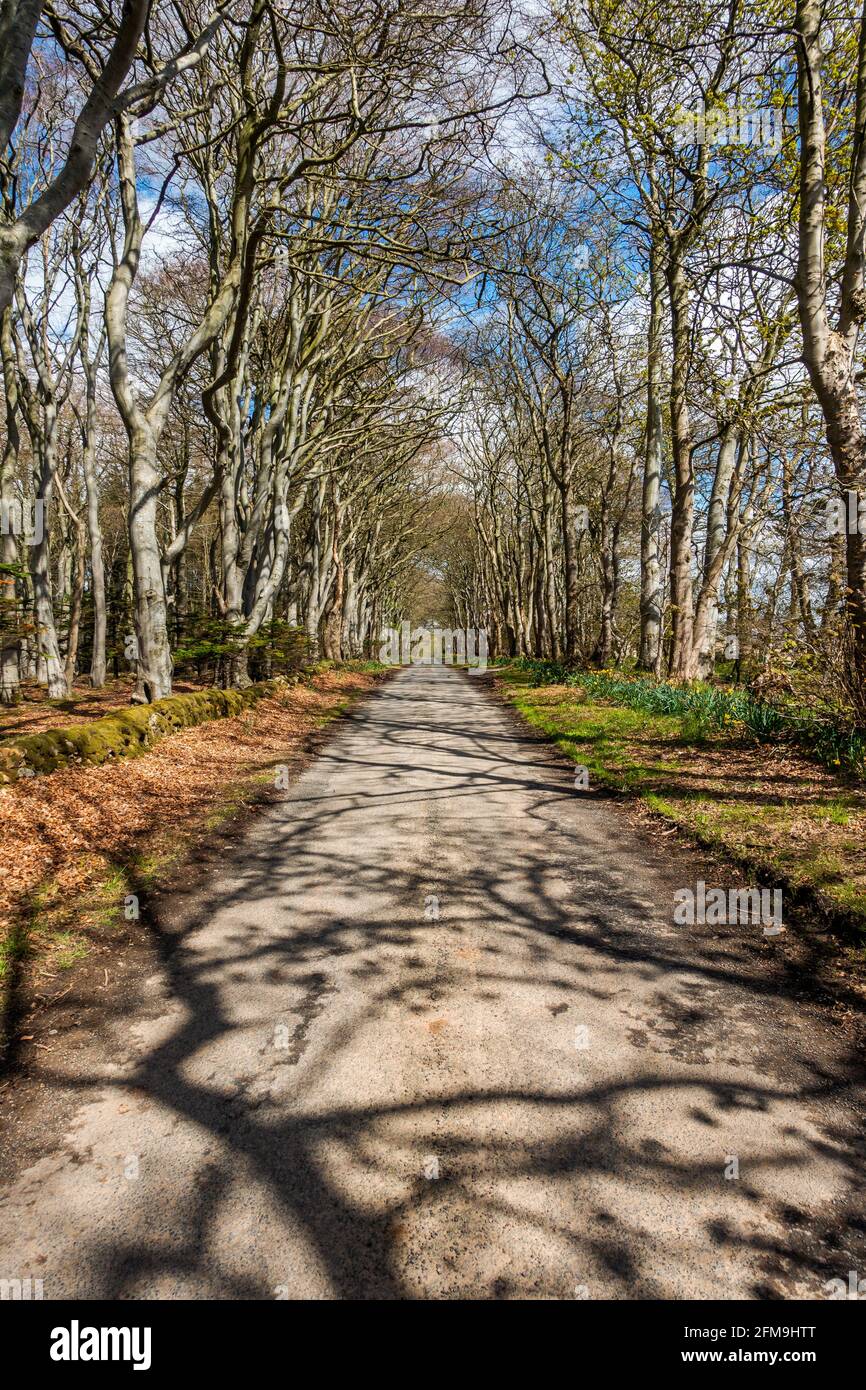 Quiet rural road in hi-res stock photography and images - Alamy