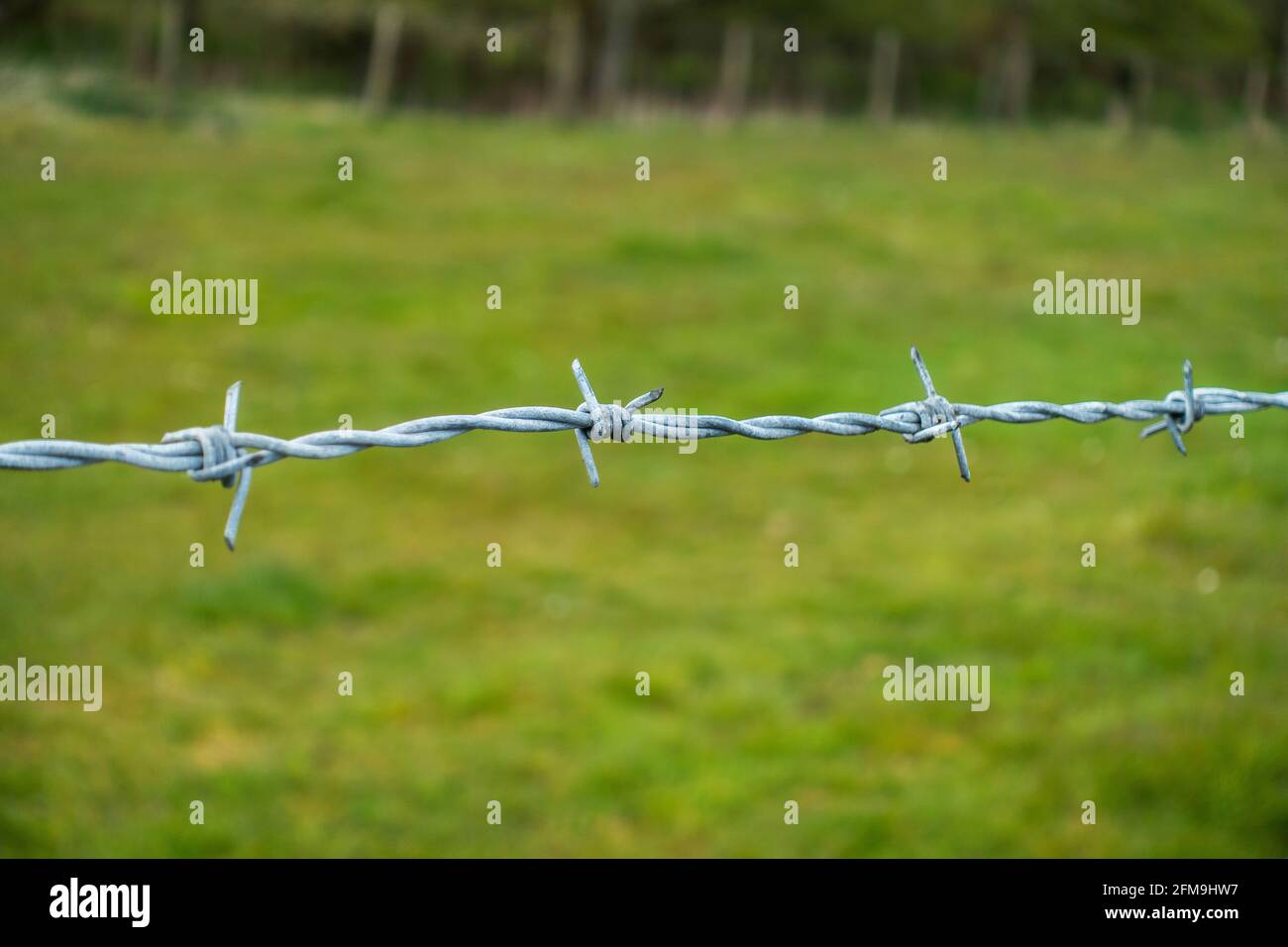 A strand of barbed wire marking the edge of a field in a rural area ...