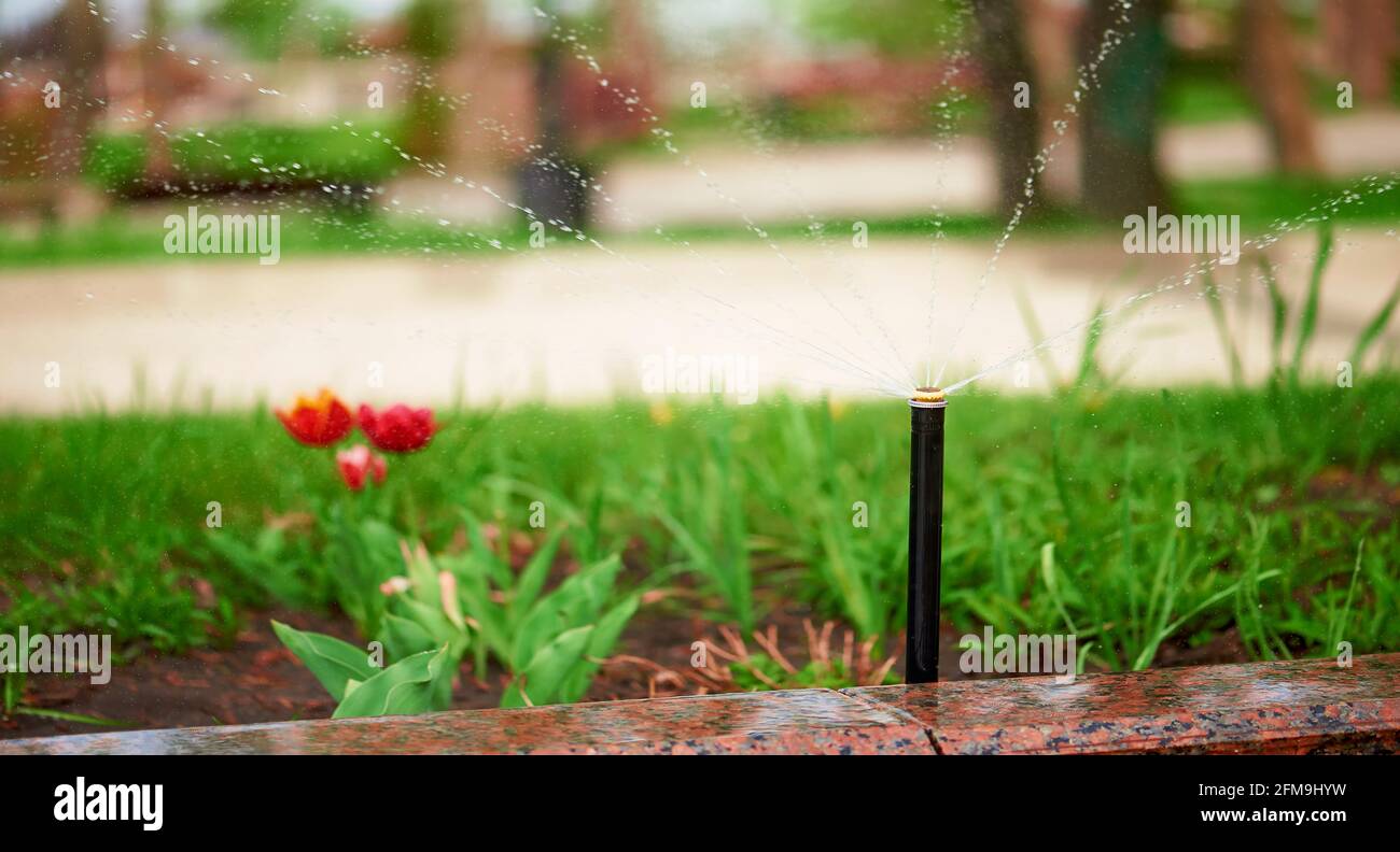 Lawn sprinkler watering garden flowers hi-res stock photography and ...