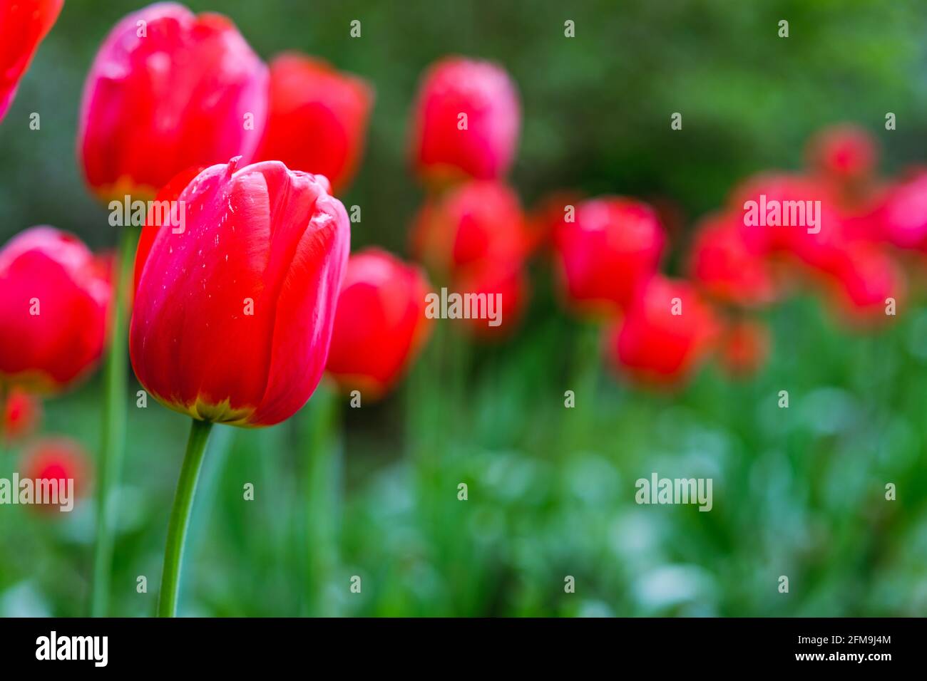 Season time hi-res stock photography and images - Alamy
