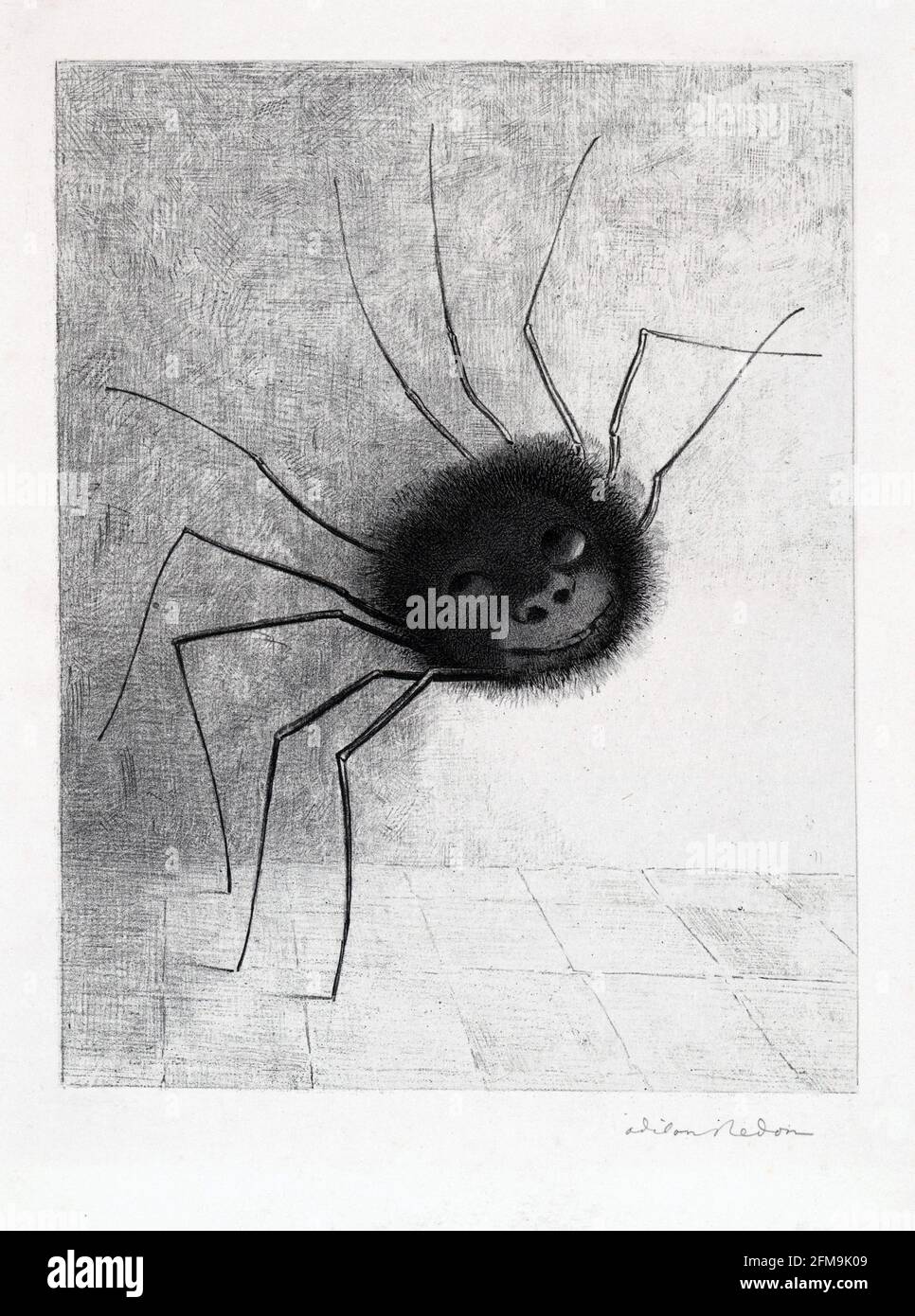 Redon spider hi-res stock photography and images - Alamy