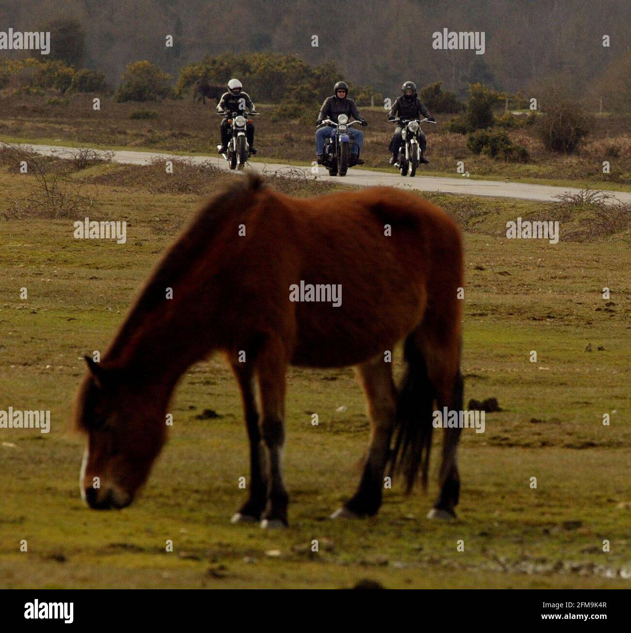 Gordon Williamson runs Bugad, hire a classic motorcycle and ride in the ...