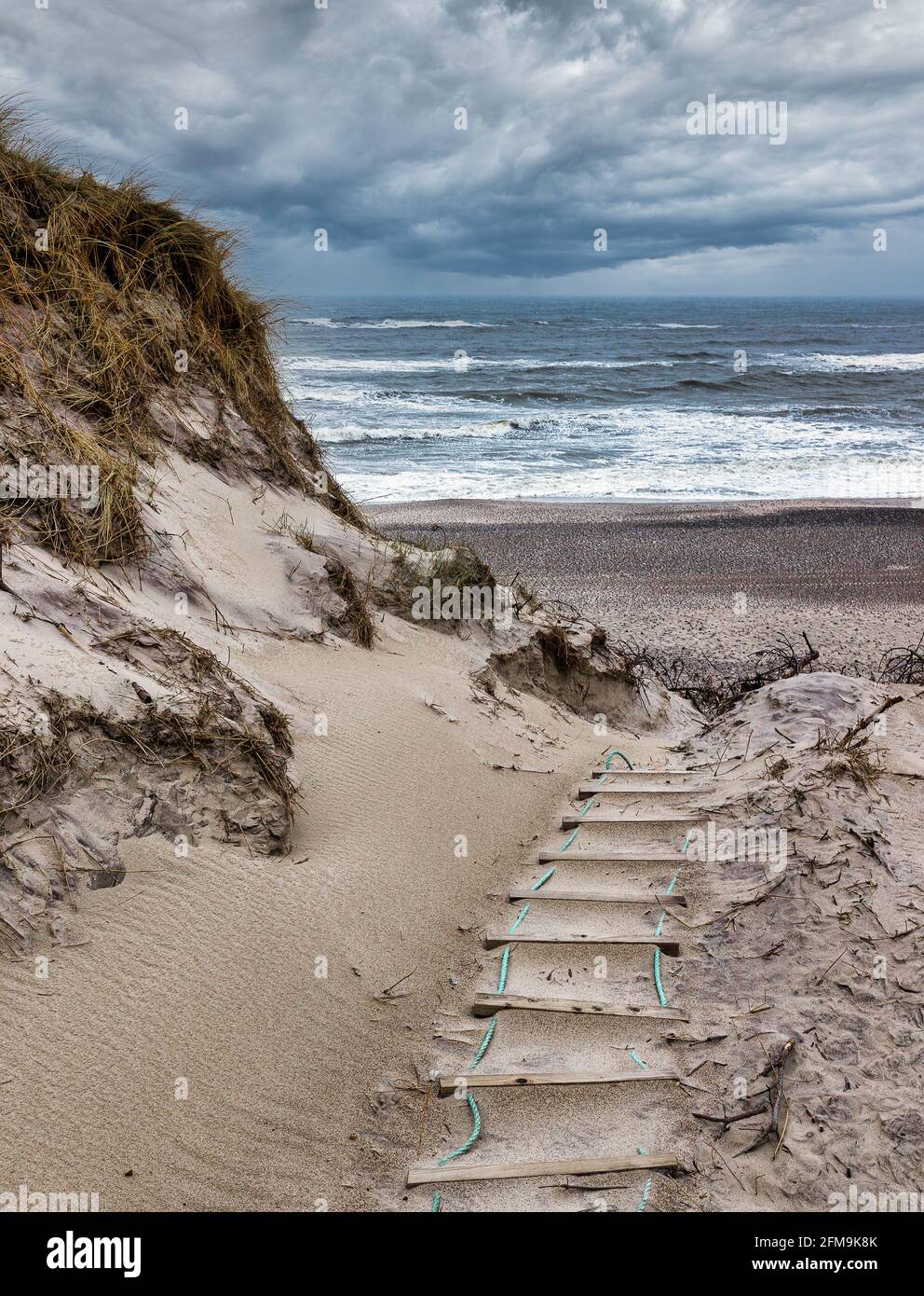 Beach and dunes near Sondervig Stock Photo - Alamy