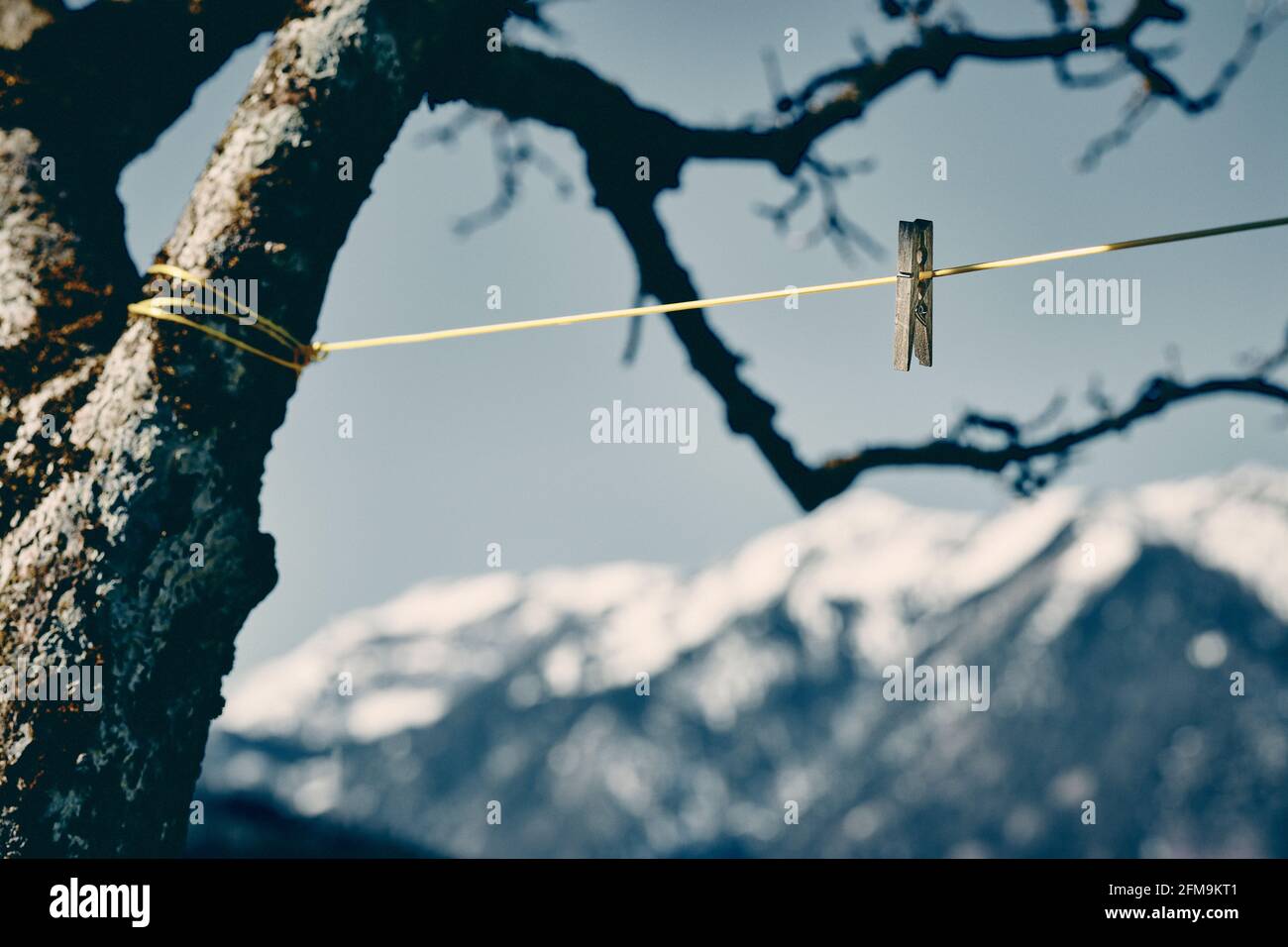 Wooden clothespins on a yellow clothesline tied to the tree with snow ...