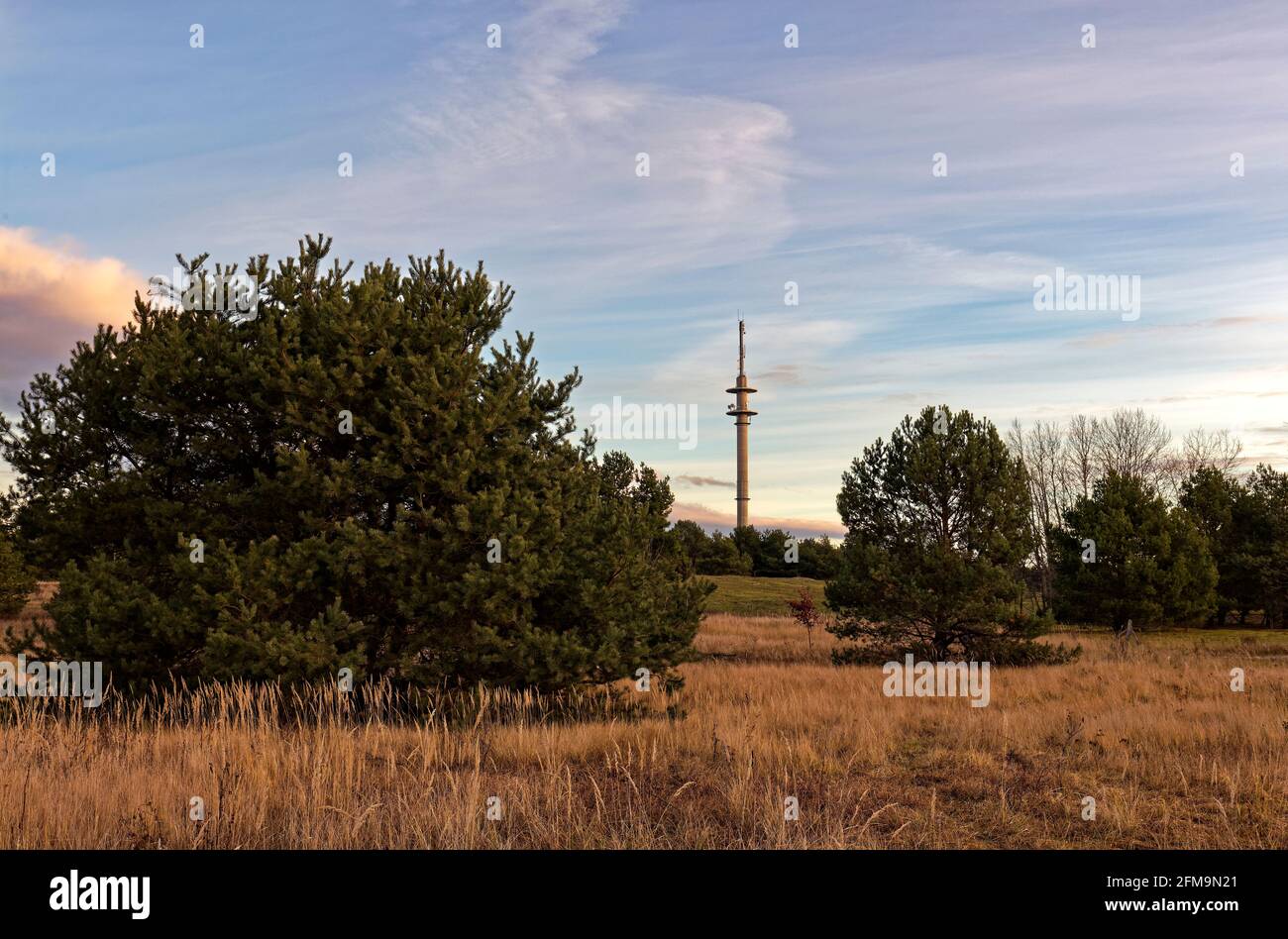 Cell phone tower tree hi-res stock photography and images - Alamy