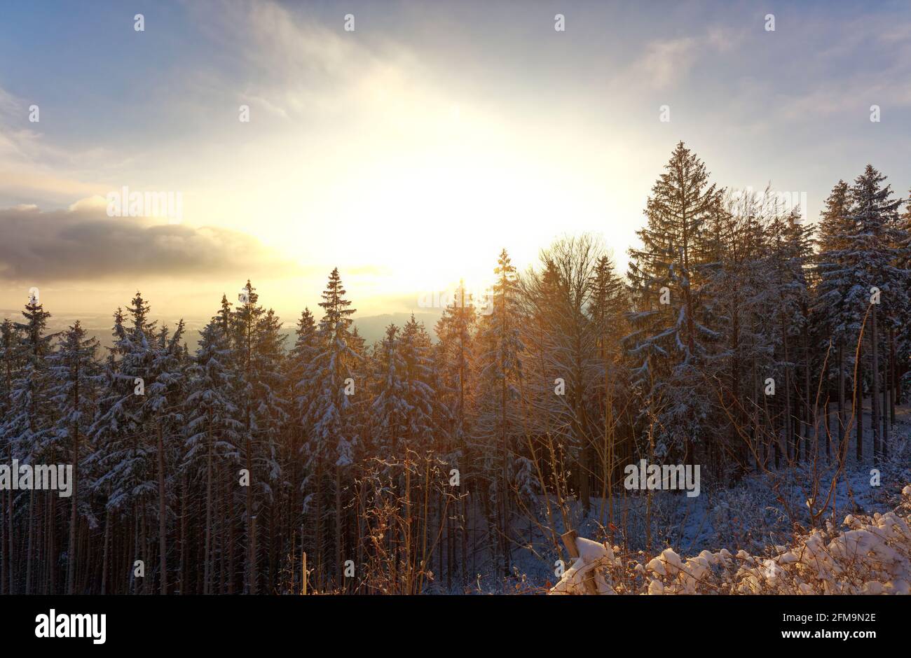 Landscape in winter light Stock Photo - Alamy