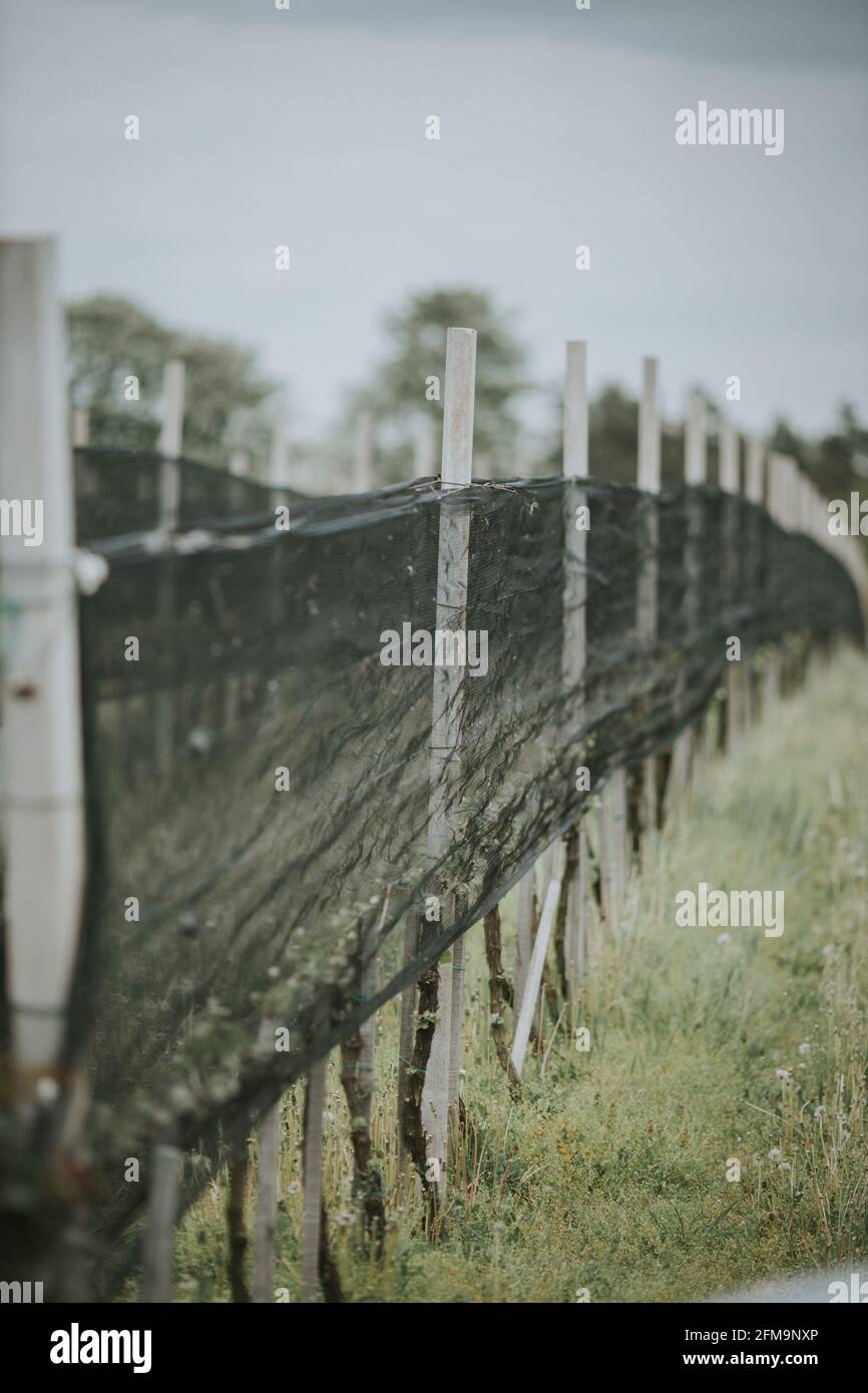 Special net for fishing hi-res stock photography and images - Alamy