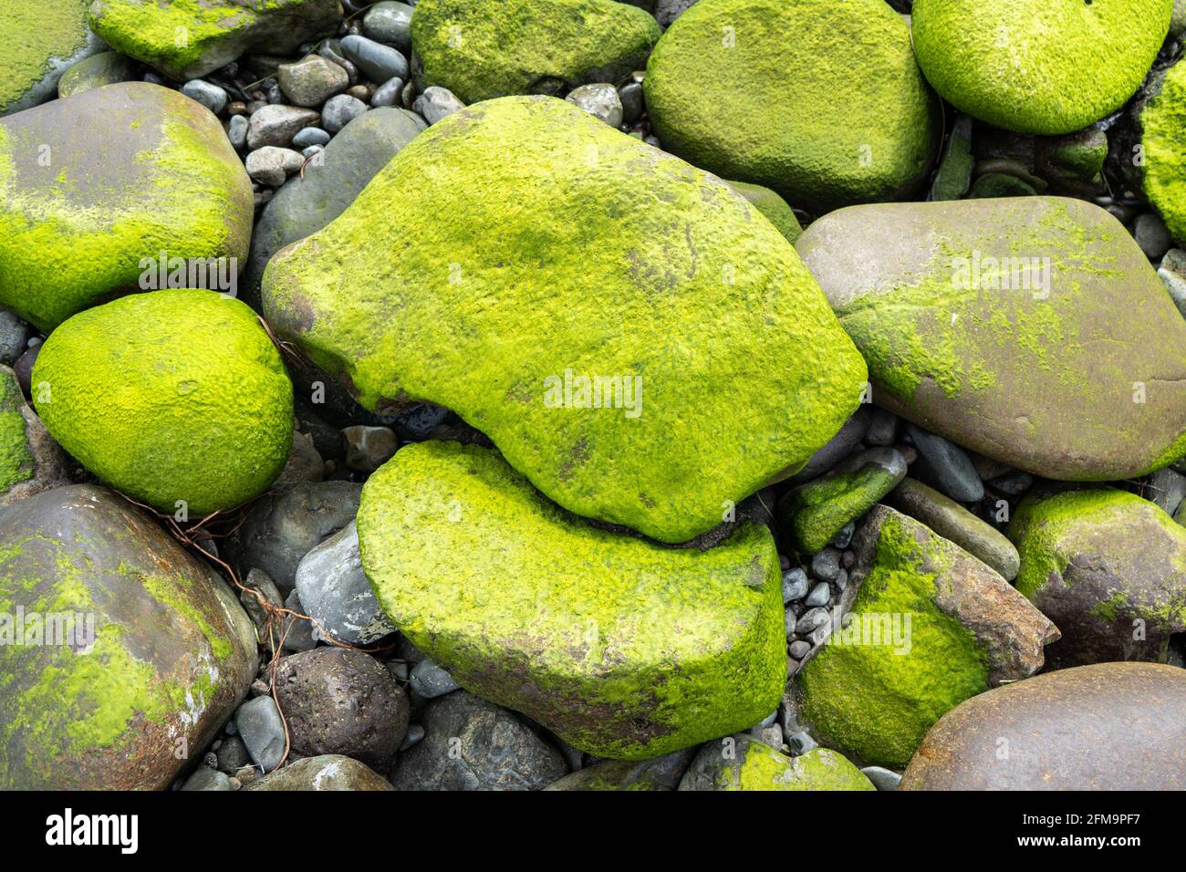 Big pebble stones with moss on seashore. Background concept Stock Photo ...