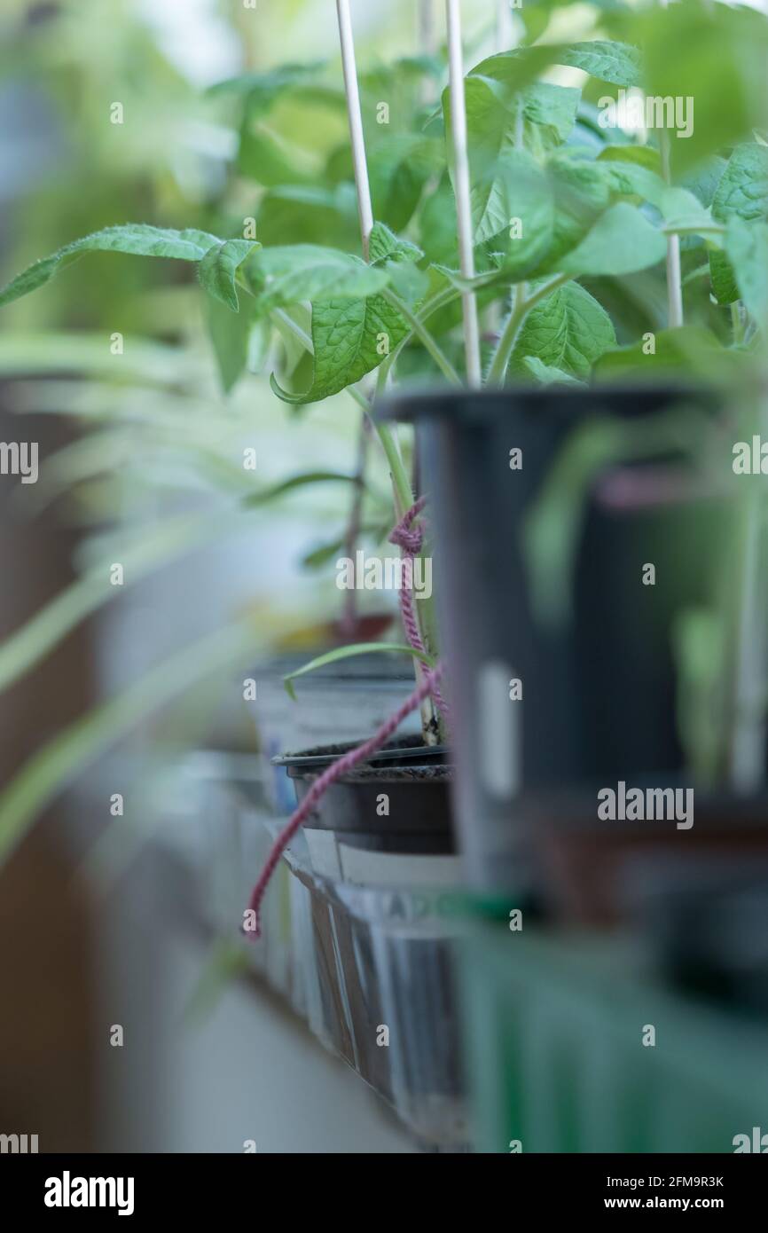 Before spring planting hi-res stock photography and images - Alamy