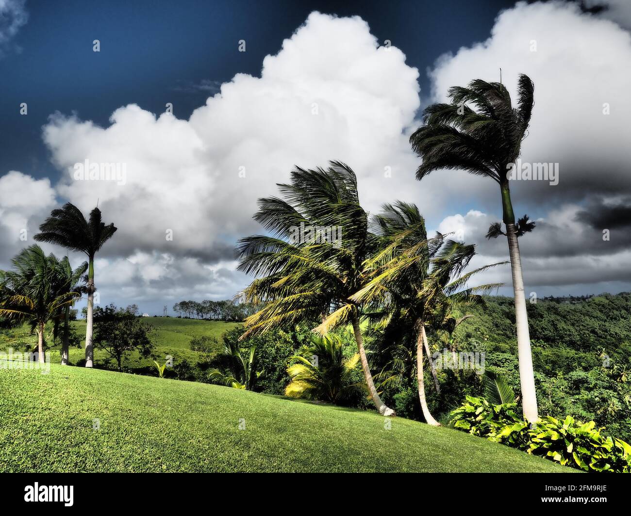 Barbados landscape hi-res stock photography and images - Alamy