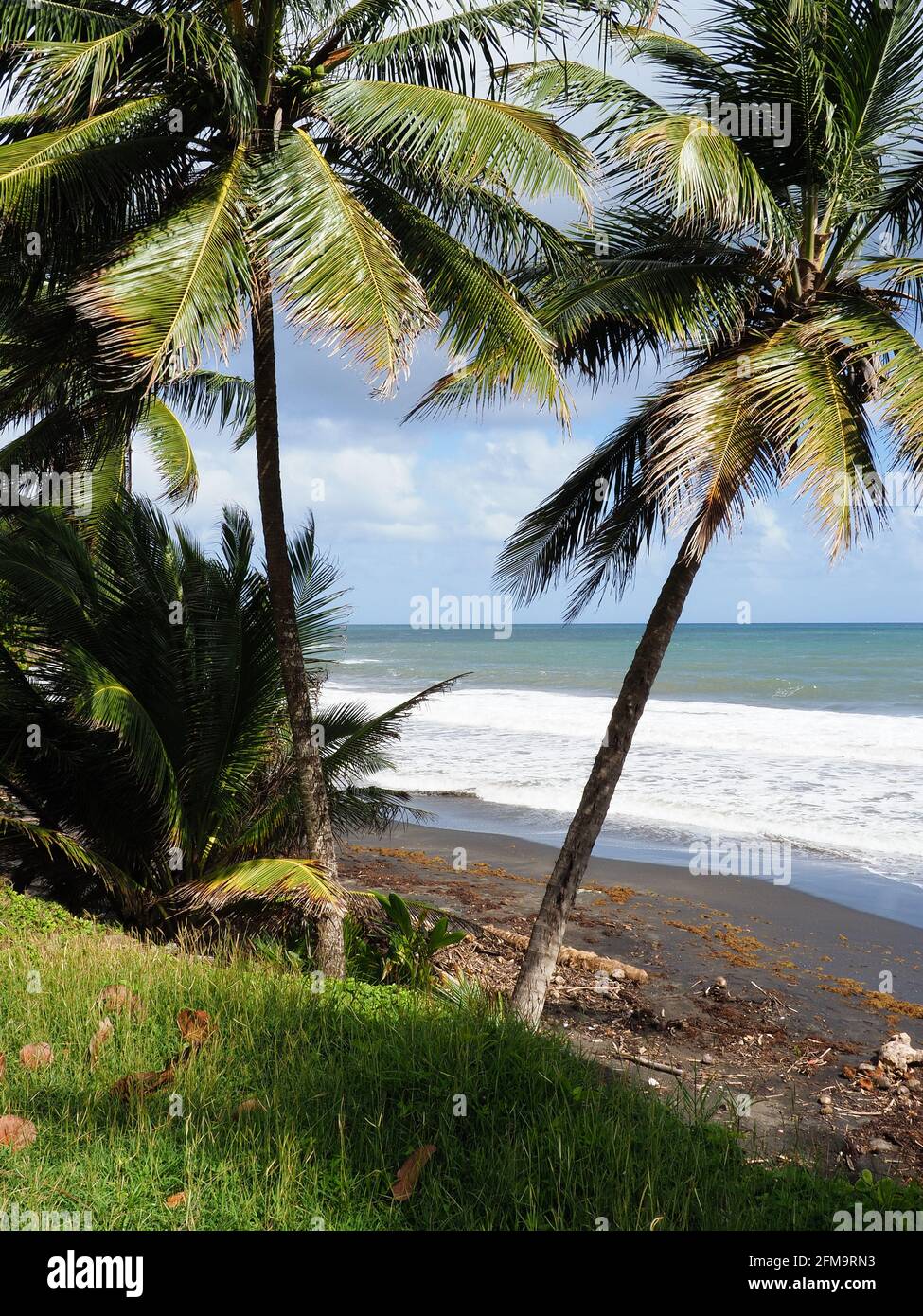Martinique landscape hi-res stock photography and images - Alamy