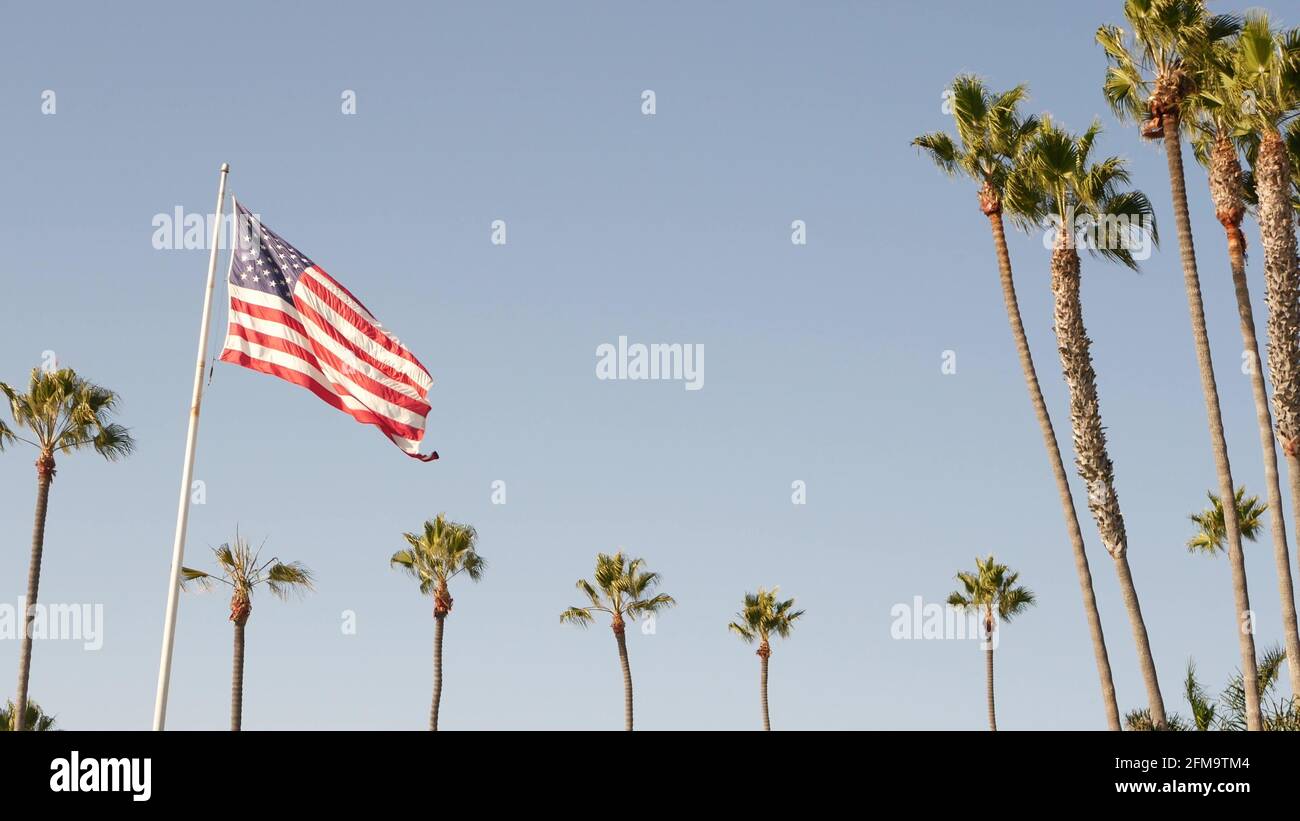 Palms and american flag, Los Angeles, California USA. Summertime ...