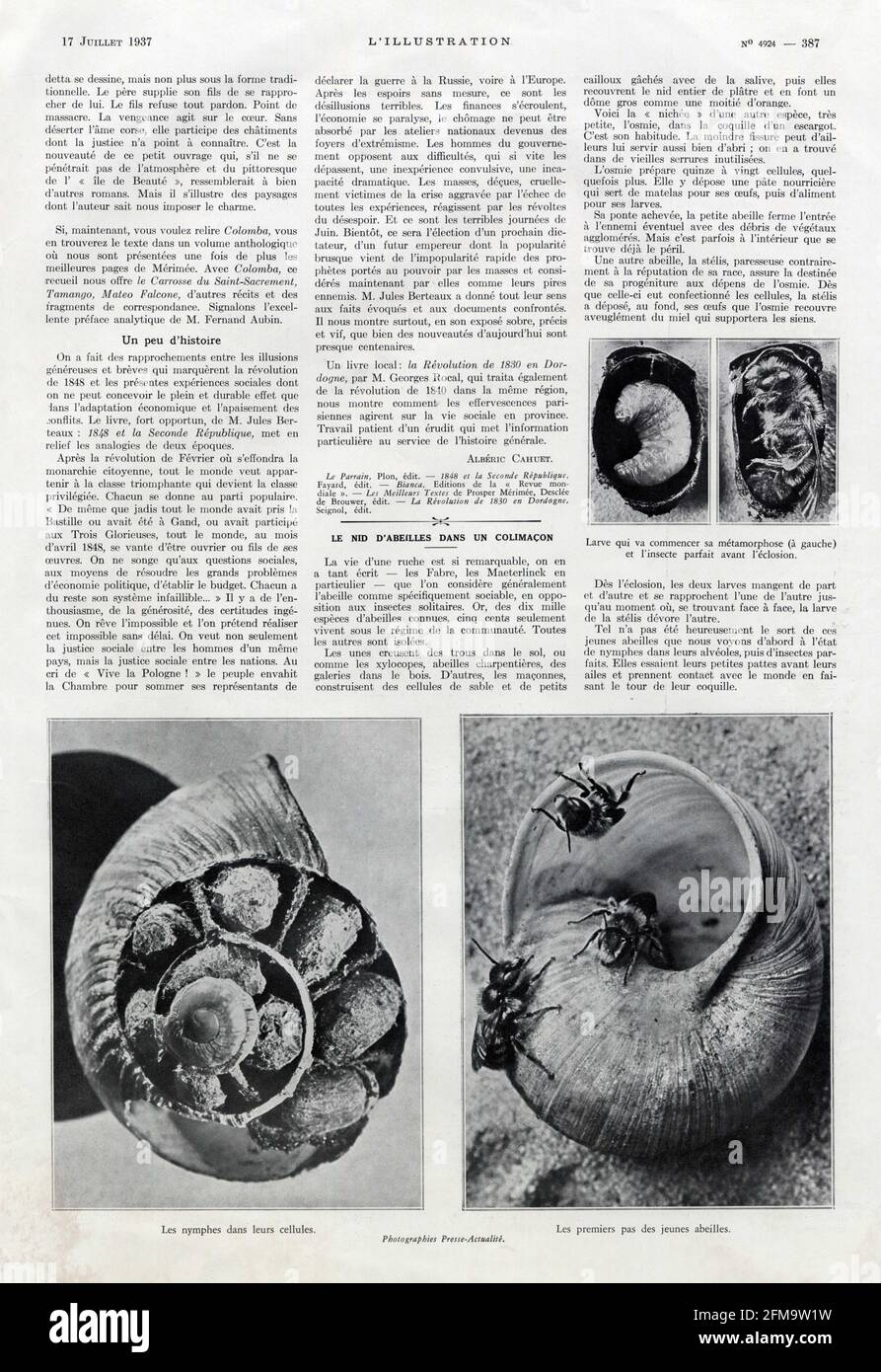 Abri insectes hi-res stock photography and images - Alamy