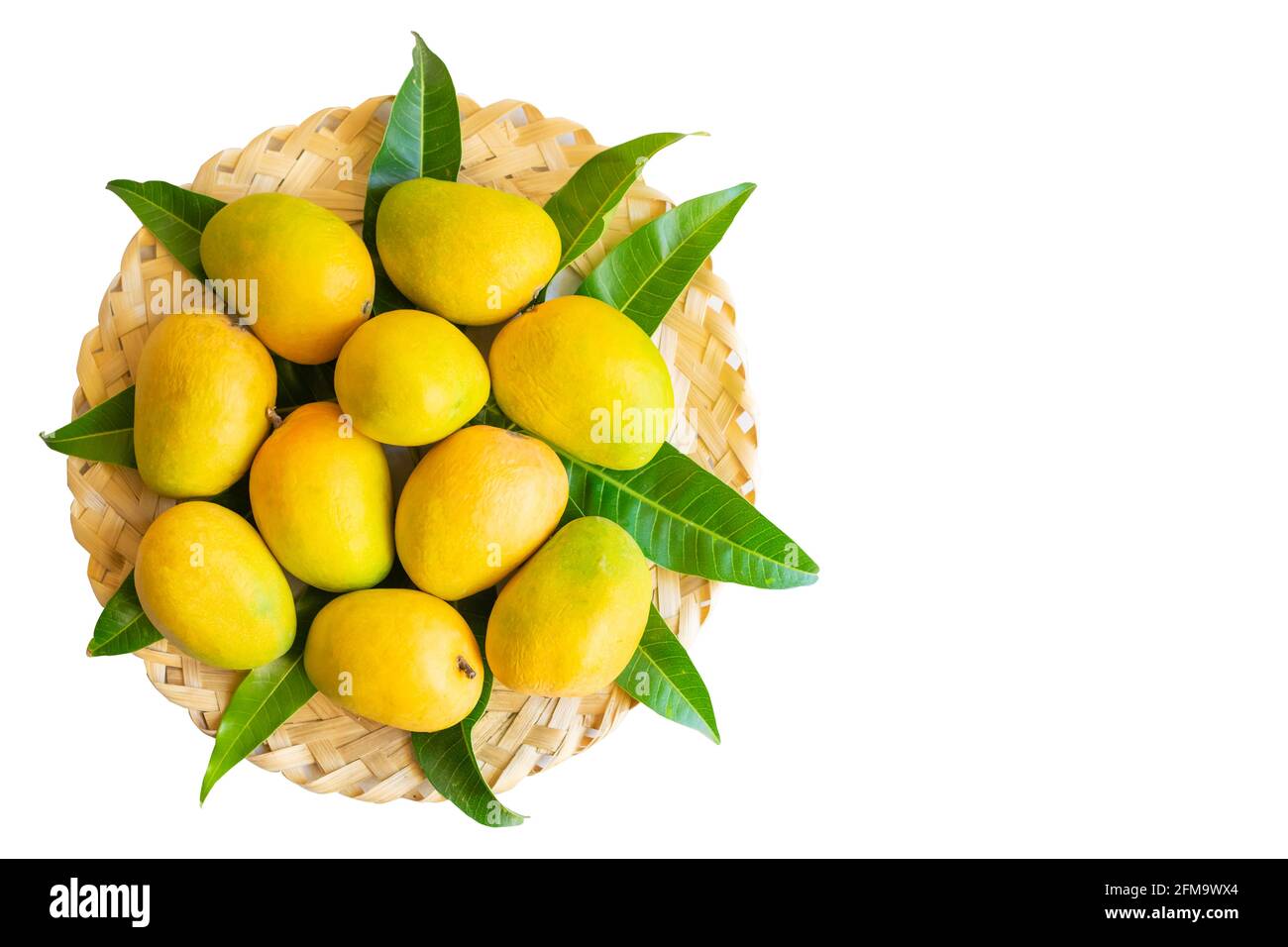 Indian mango hi-res stock photography and images - Alamy