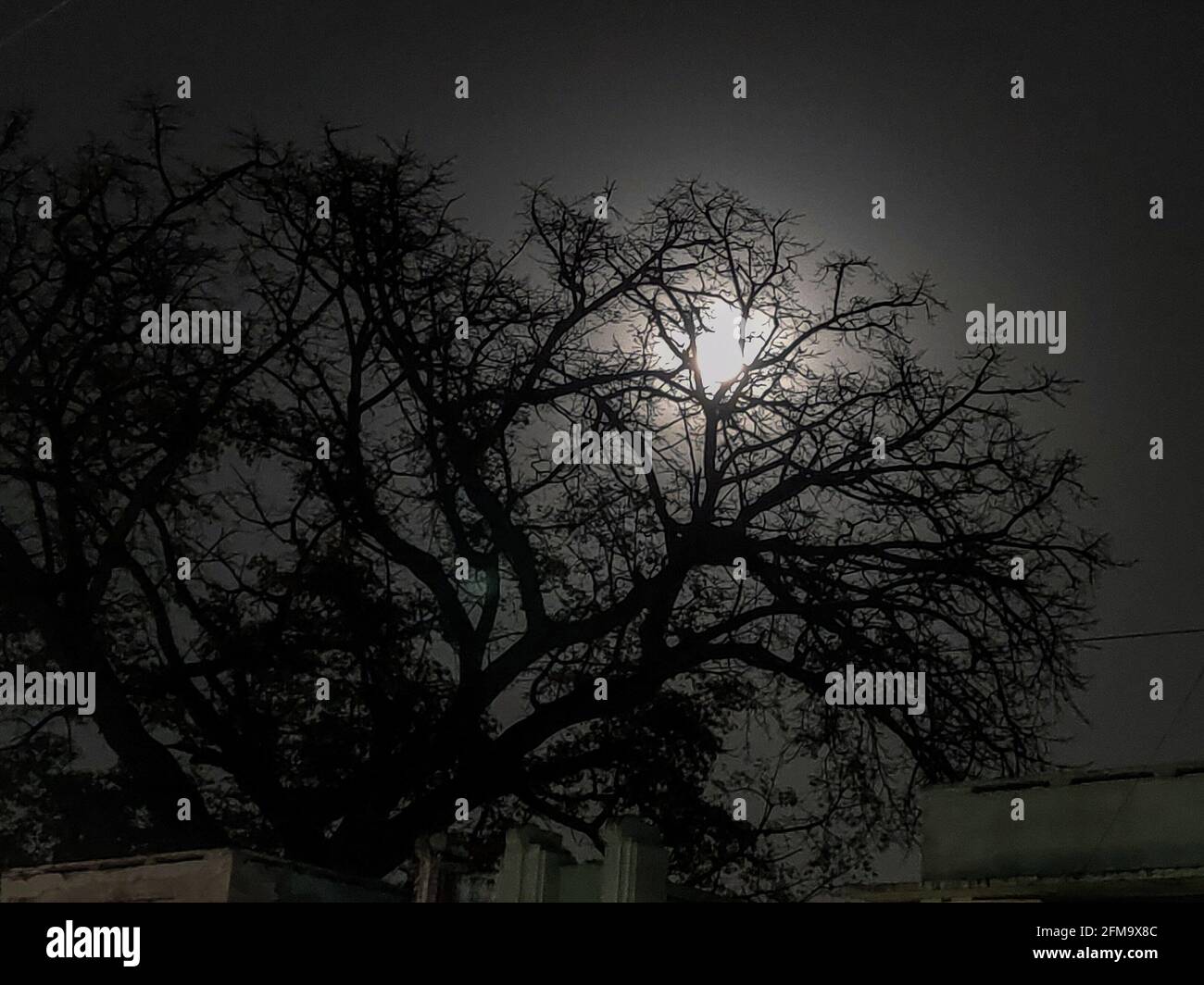 Scarynight hi-res stock photography and images - Alamy