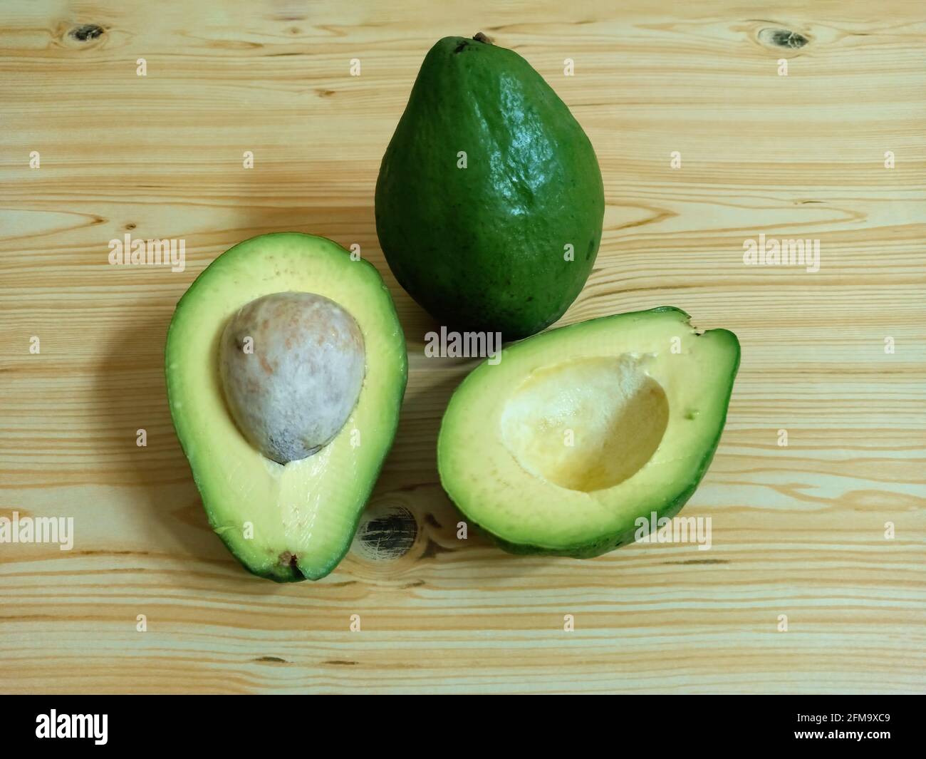 Aguacate persea americana hi-res stock photography and images - Alamy