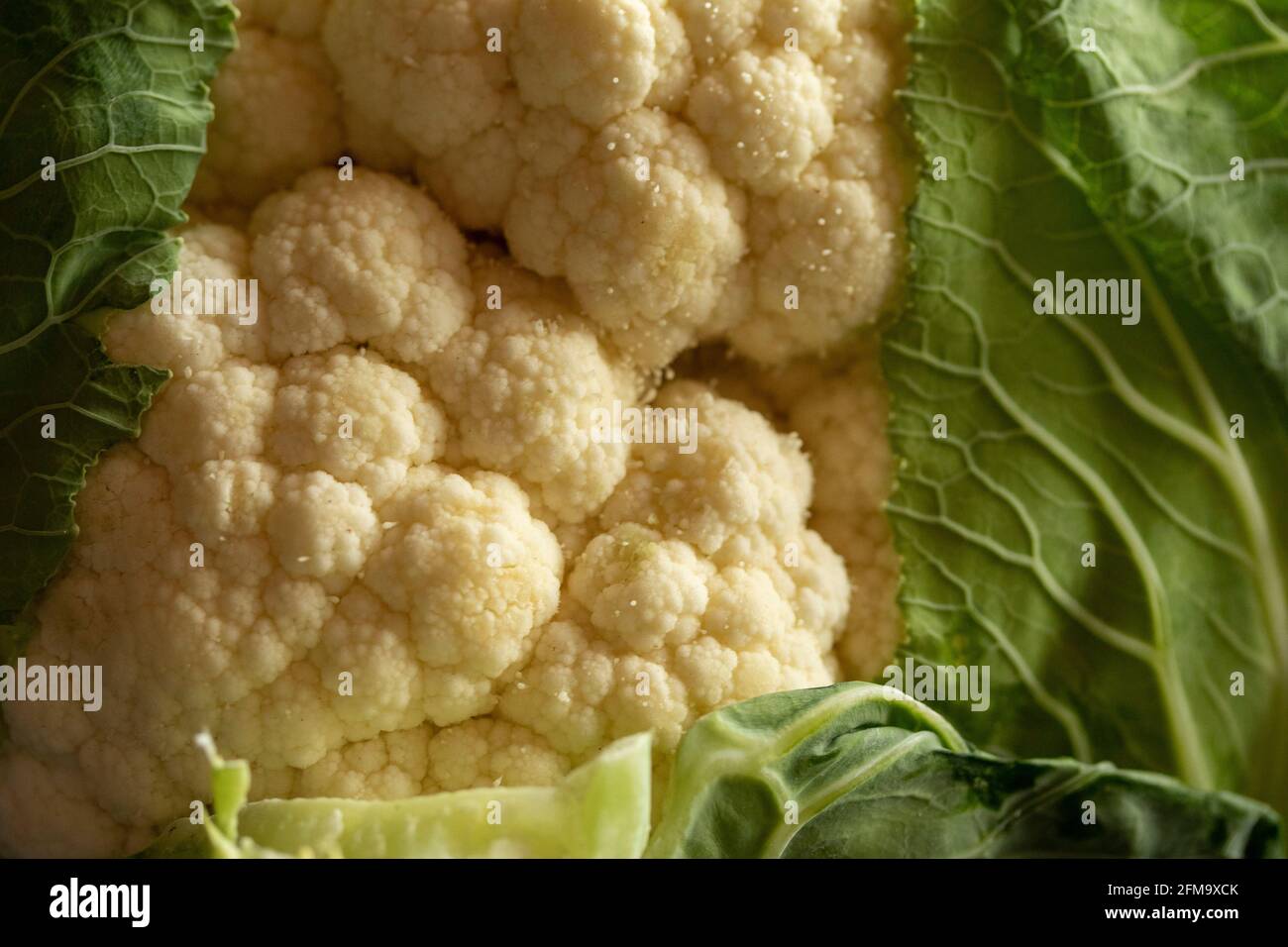 Close food photograph of cauliflower head Stock Photo - Alamy