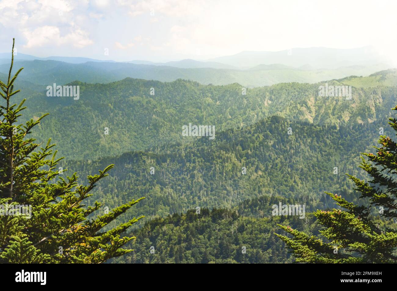 Myrtle Peak Overlook, Mount Le Conte in Gatlinburg Tennessee Stock ...