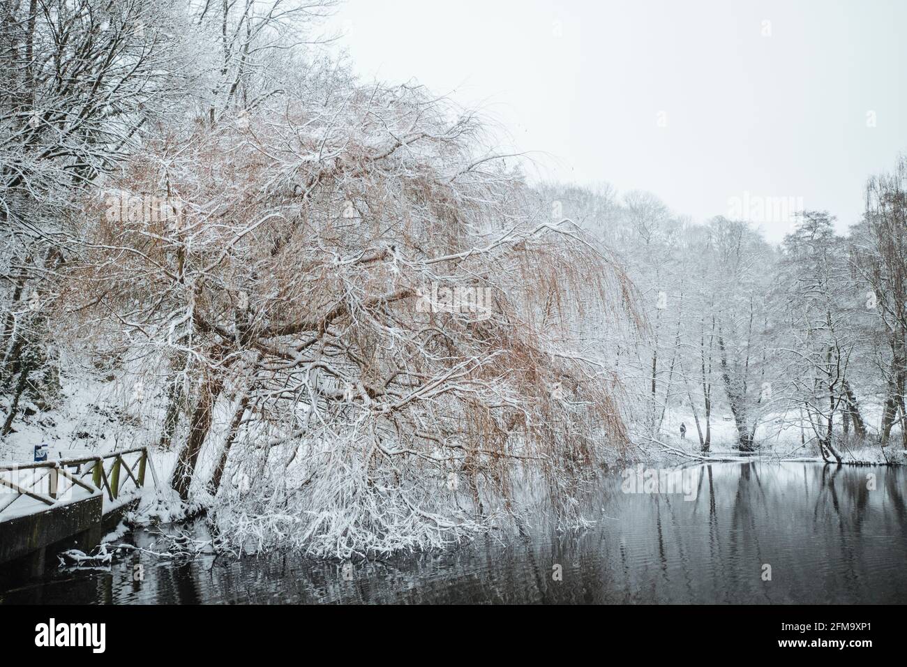 Königstein winter hi-res stock photography and images - Alamy