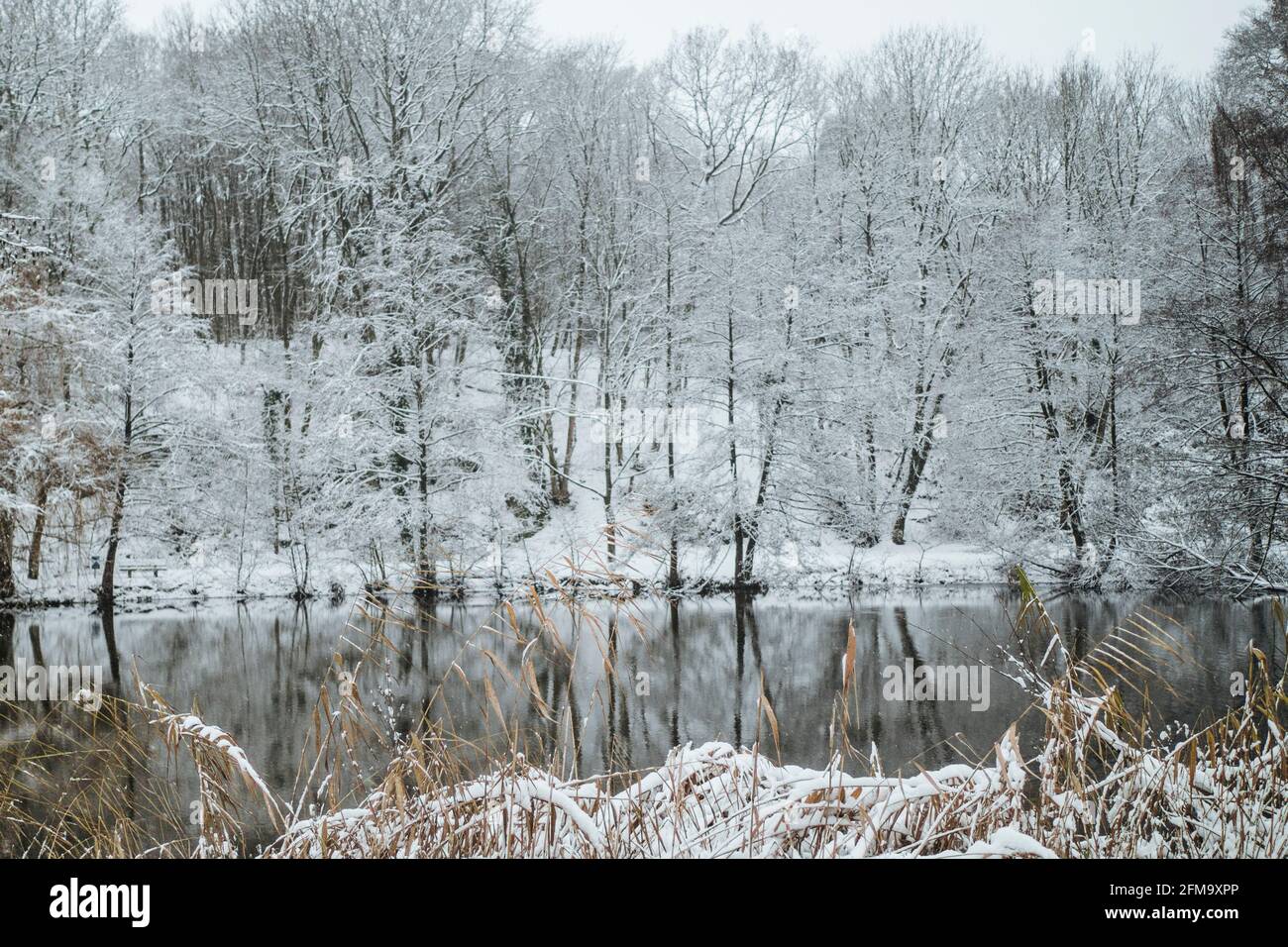 Königstein winter hi-res stock photography and images - Alamy
