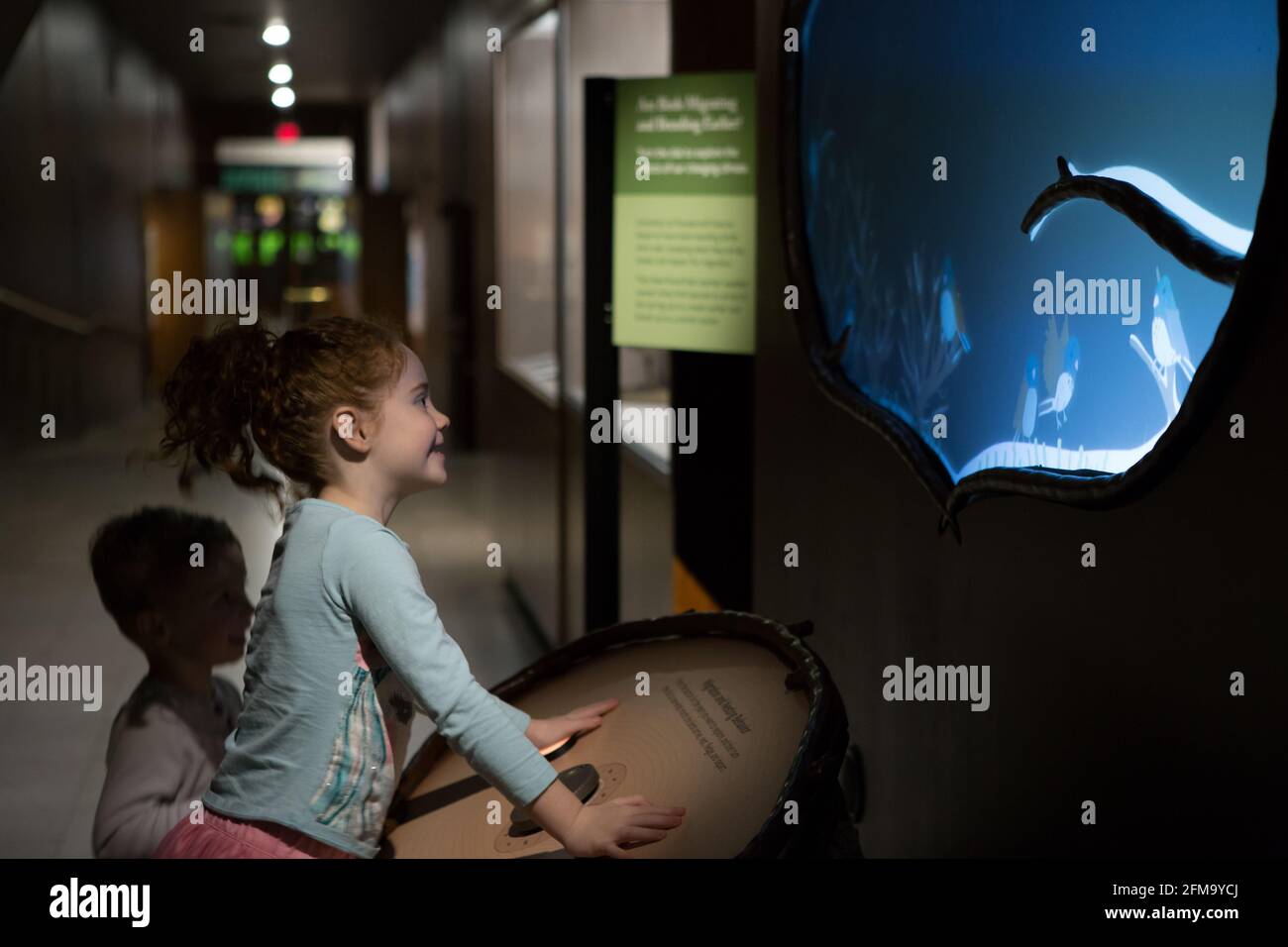 Two children look at a museum exhibit Stock Photo - Alamy