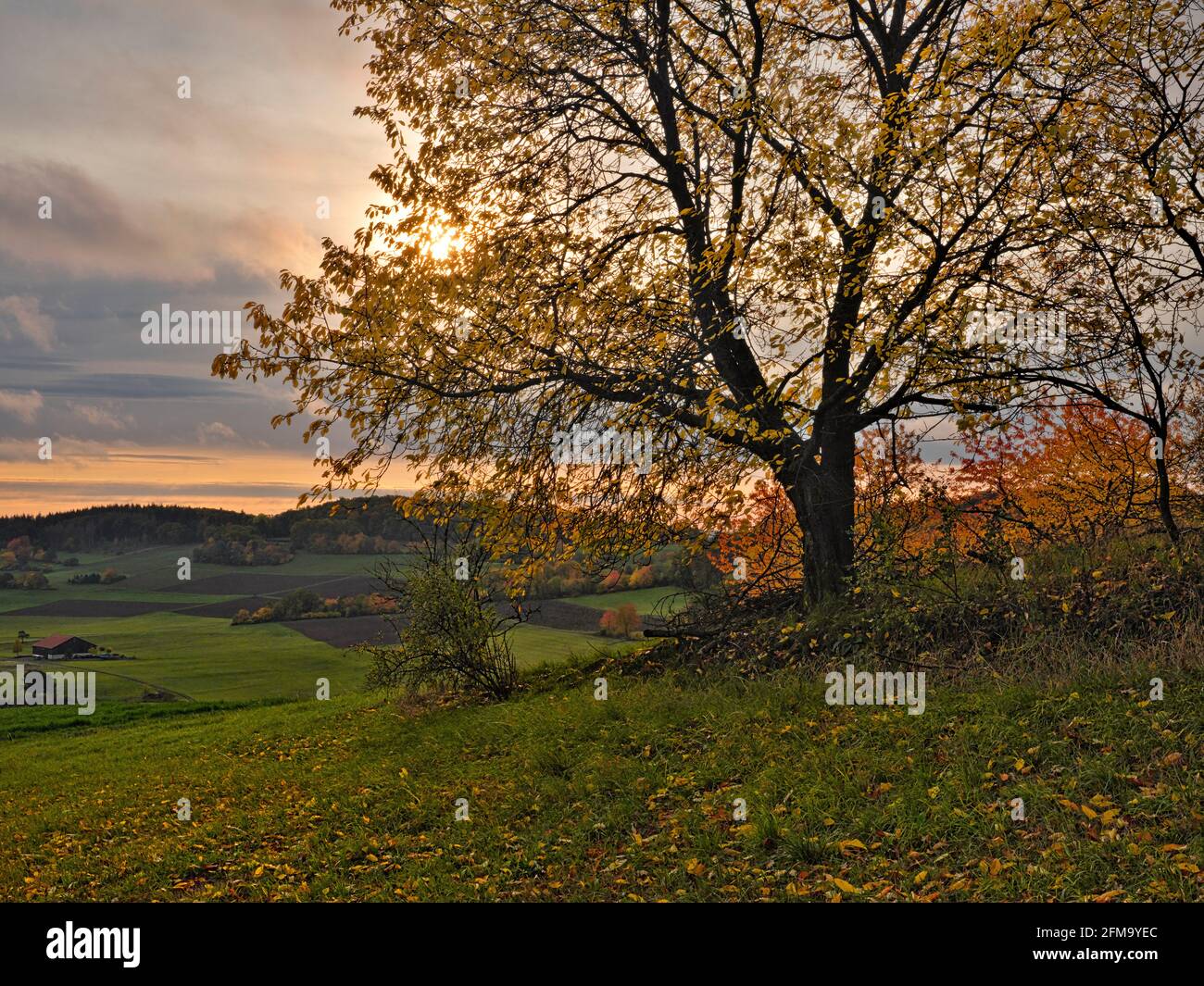 Nature reserve lahn dill bergland hi-res stock photography and images ...