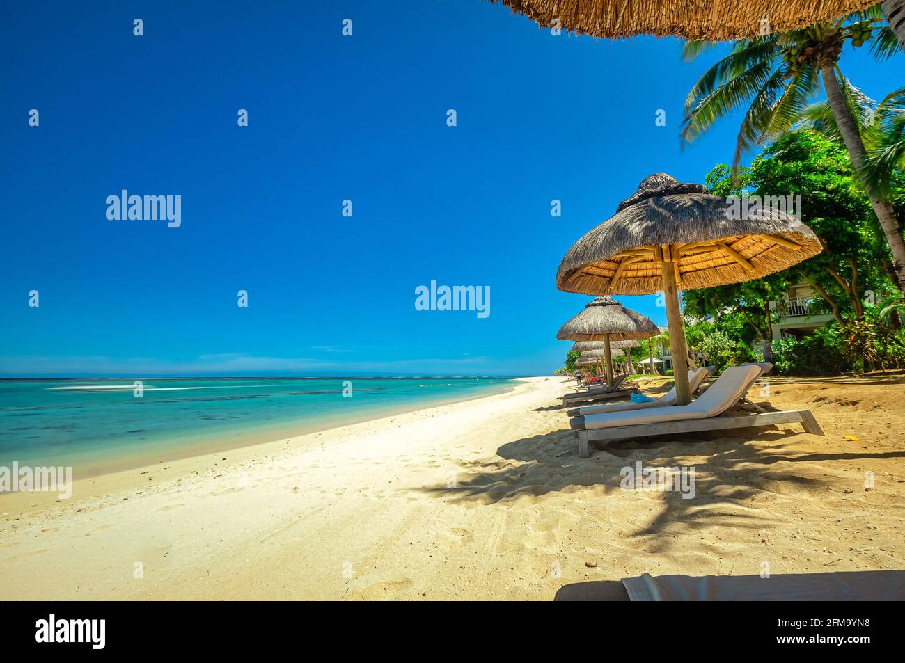 View of nice tropical empty sandy beach with some palm and a sun chair ...
