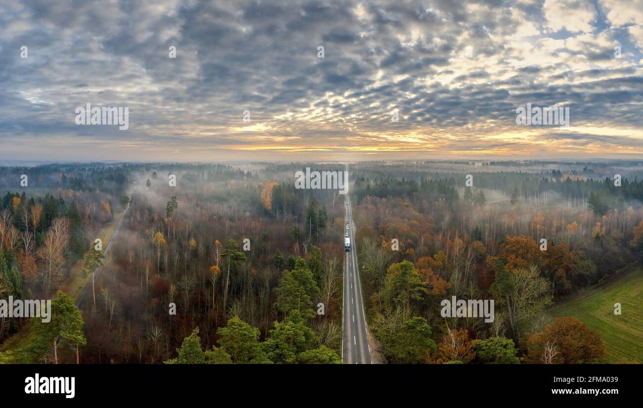 Highway through pine tree forest hi-res stock photography and images ...