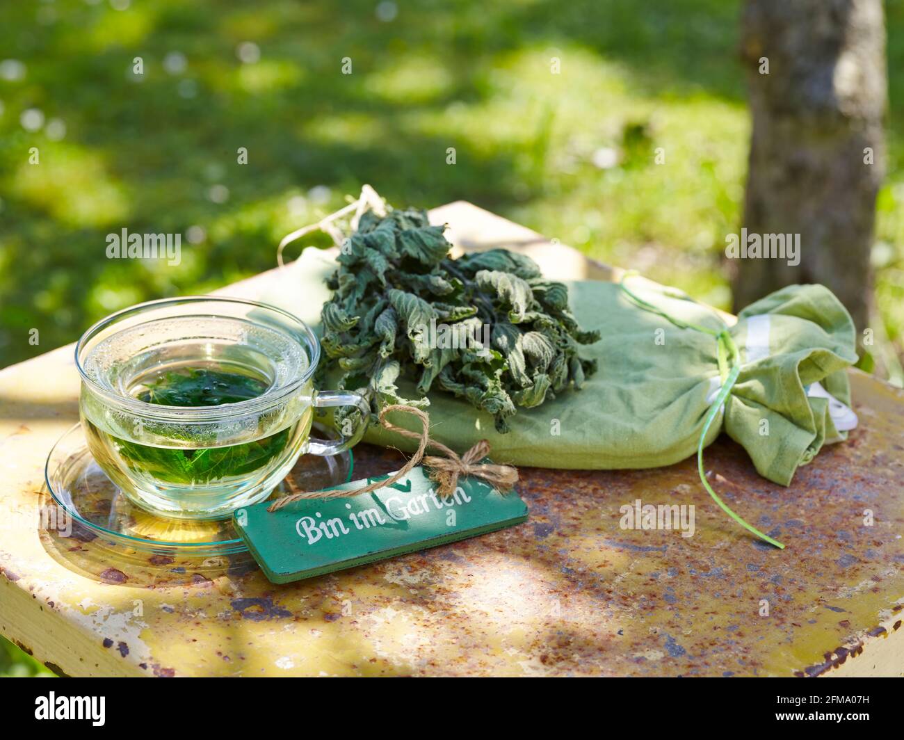 Tea made dried leaves glass hi-res stock photography and images - Alamy