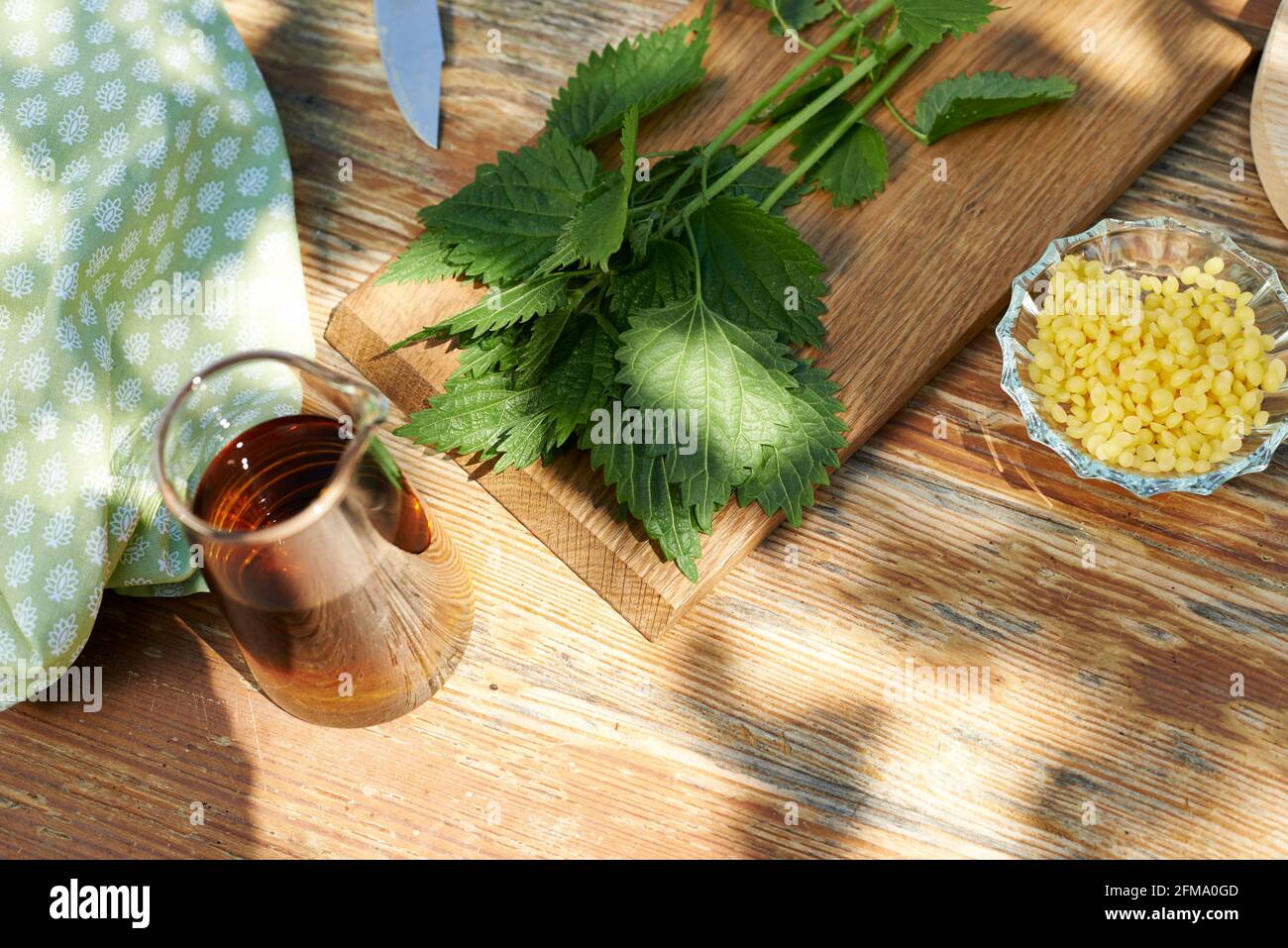 Nettle as a medicinal plant: Steps to produce a nettle cream, nettle ...