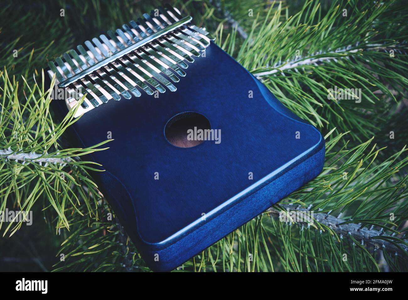 Kalimba musical instrument on the background of green pine needles ...