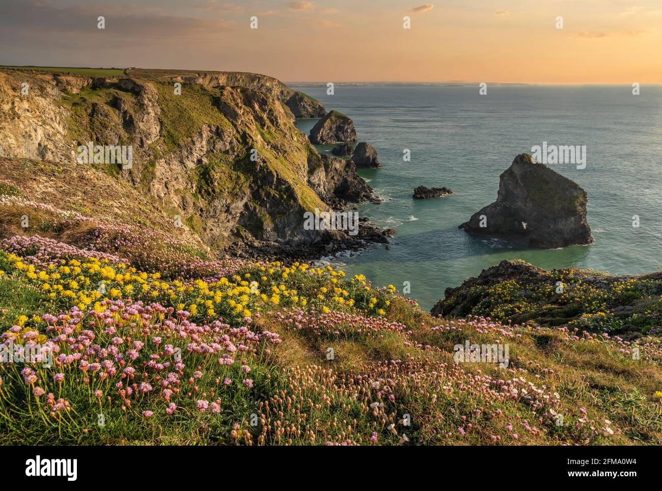 Stunning landscape image during golden hour on Cornwall coastline at ...
