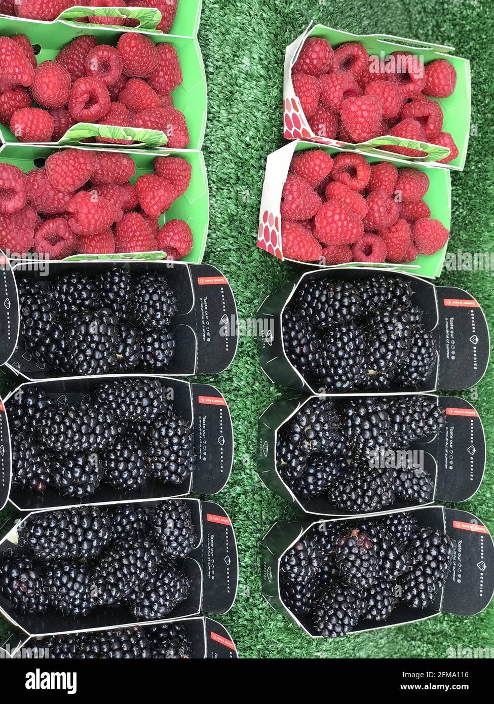Vertical shot of mulberries and raspberries sorted in small boxes on ...