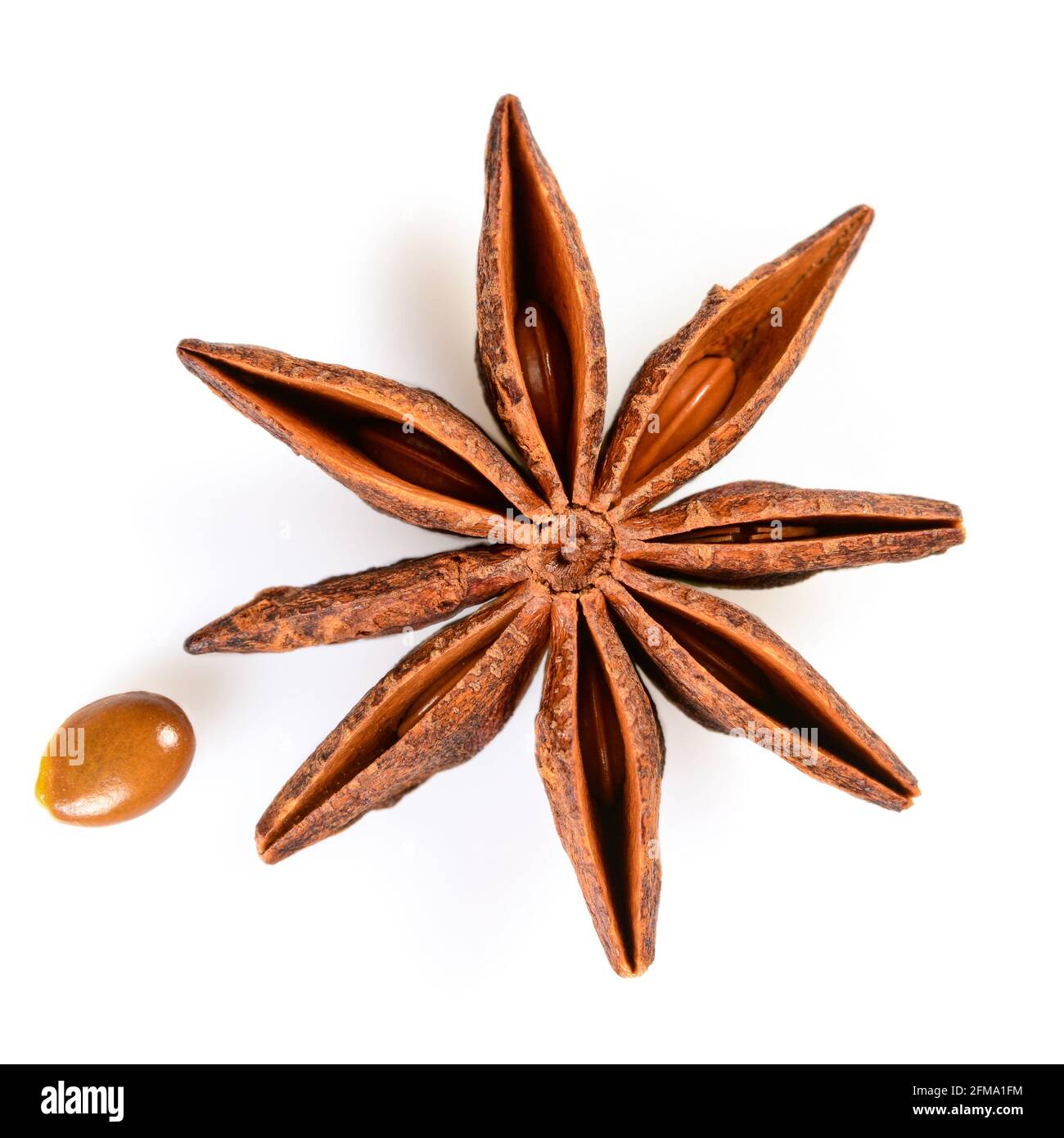 Star anise. Single star anise fruit with seed. Macro close-up Isolated ...