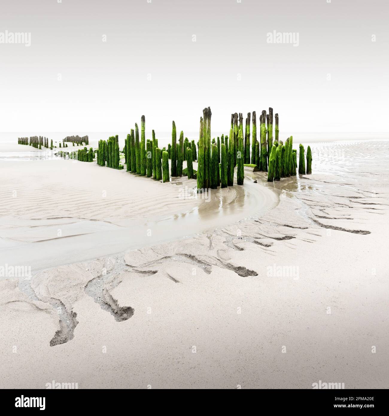 Long exposure of the famous groynes on the beach of Rantum on Sylt ...