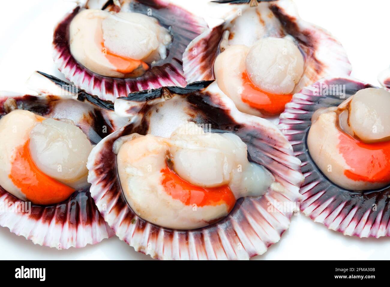 Scallops fresh, raw and clean on white background (zamburiñas Stock ...