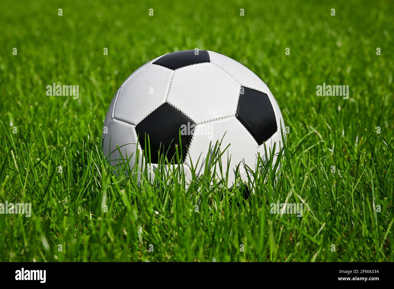 Close up one black and white football ball in green grass of soccer ...