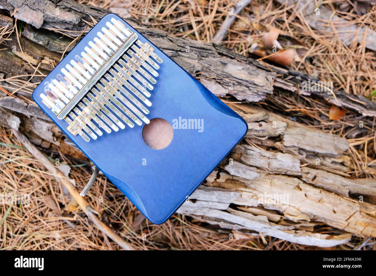 Kalimba is an African musical instrument in forest near tree Stock ...