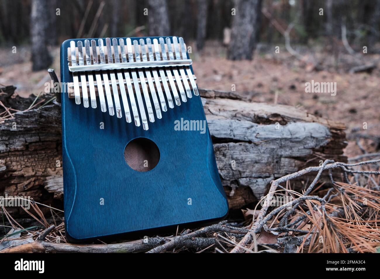 Kalimba is an African musical instrument in forest near tree Stock ...